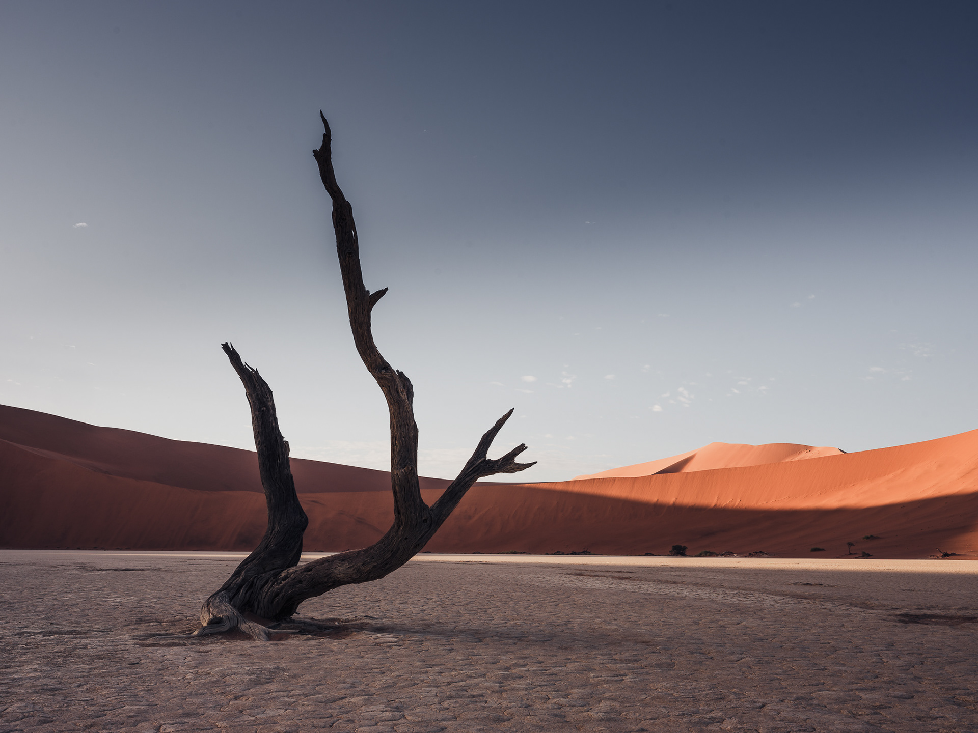 Lavemedia - Deadvlei, Namibia – Landscape photography