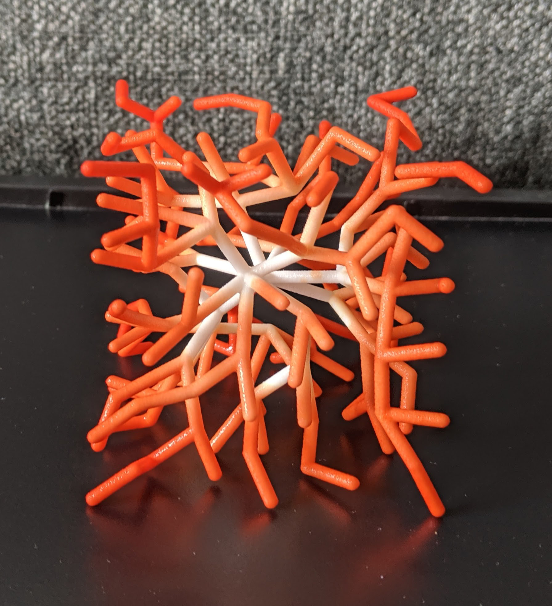 Christopher Hanusa - Platonic Neurons