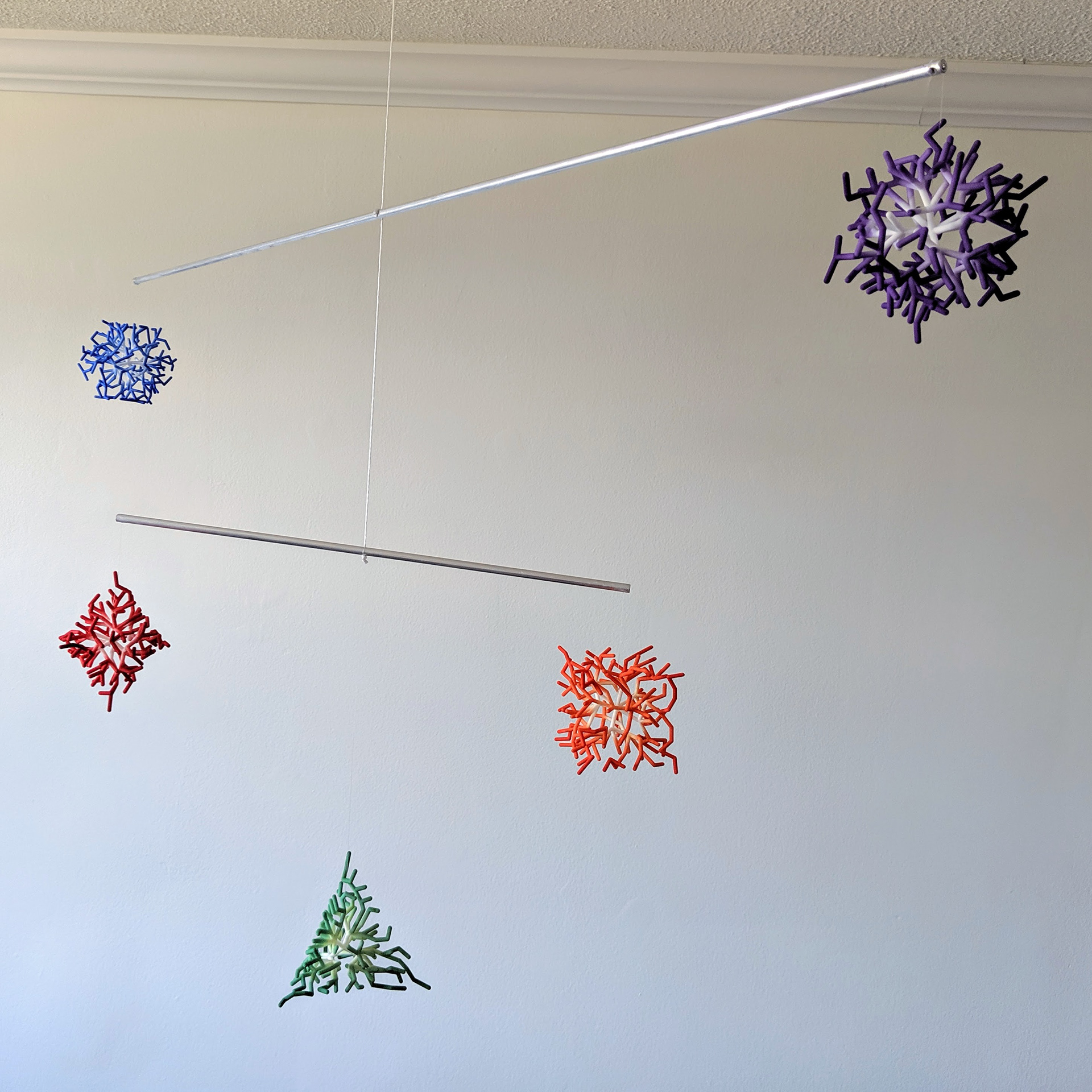 Christopher Hanusa - Platonic Neurons