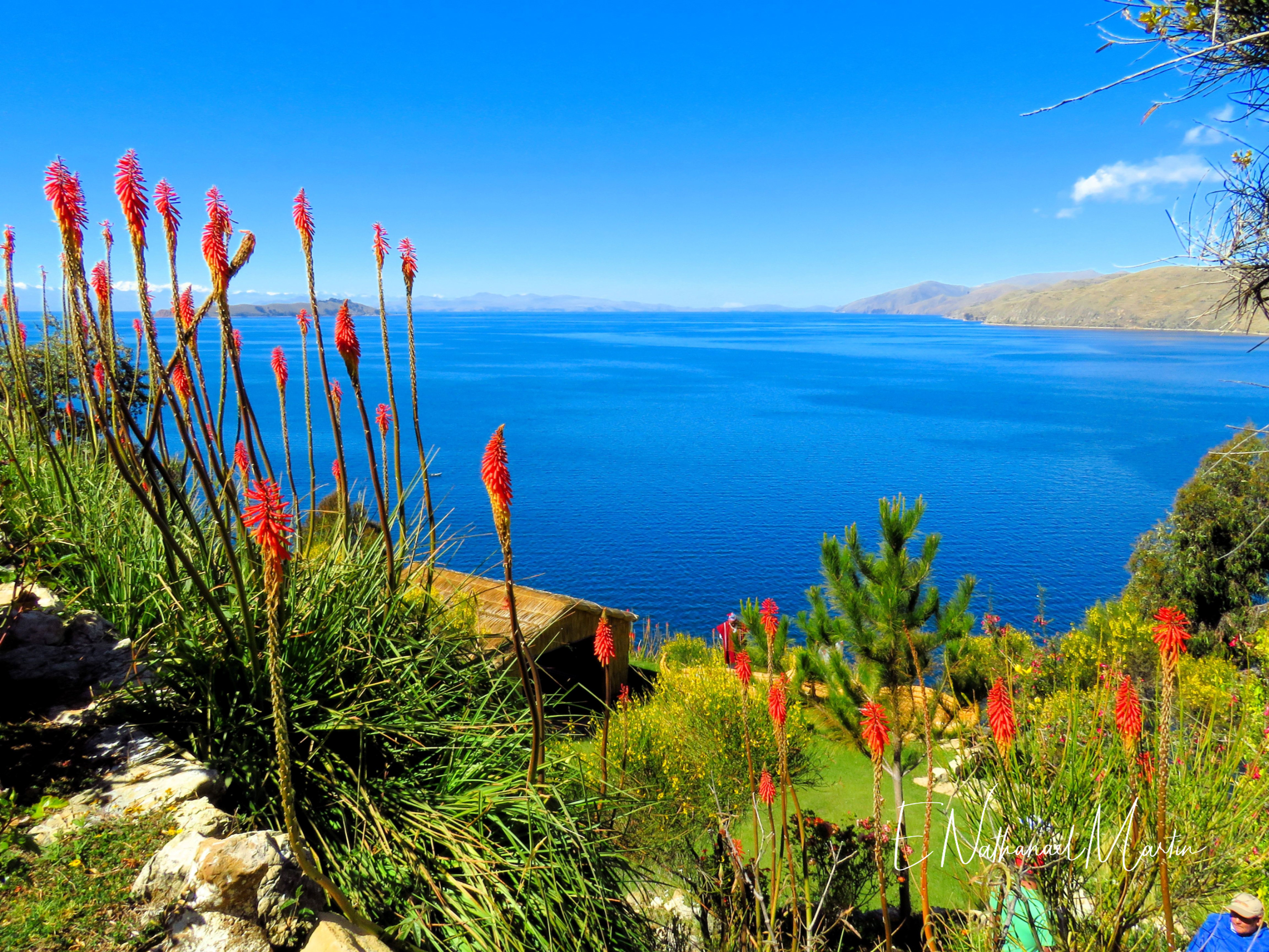 Nature by Nat Photography - Peru