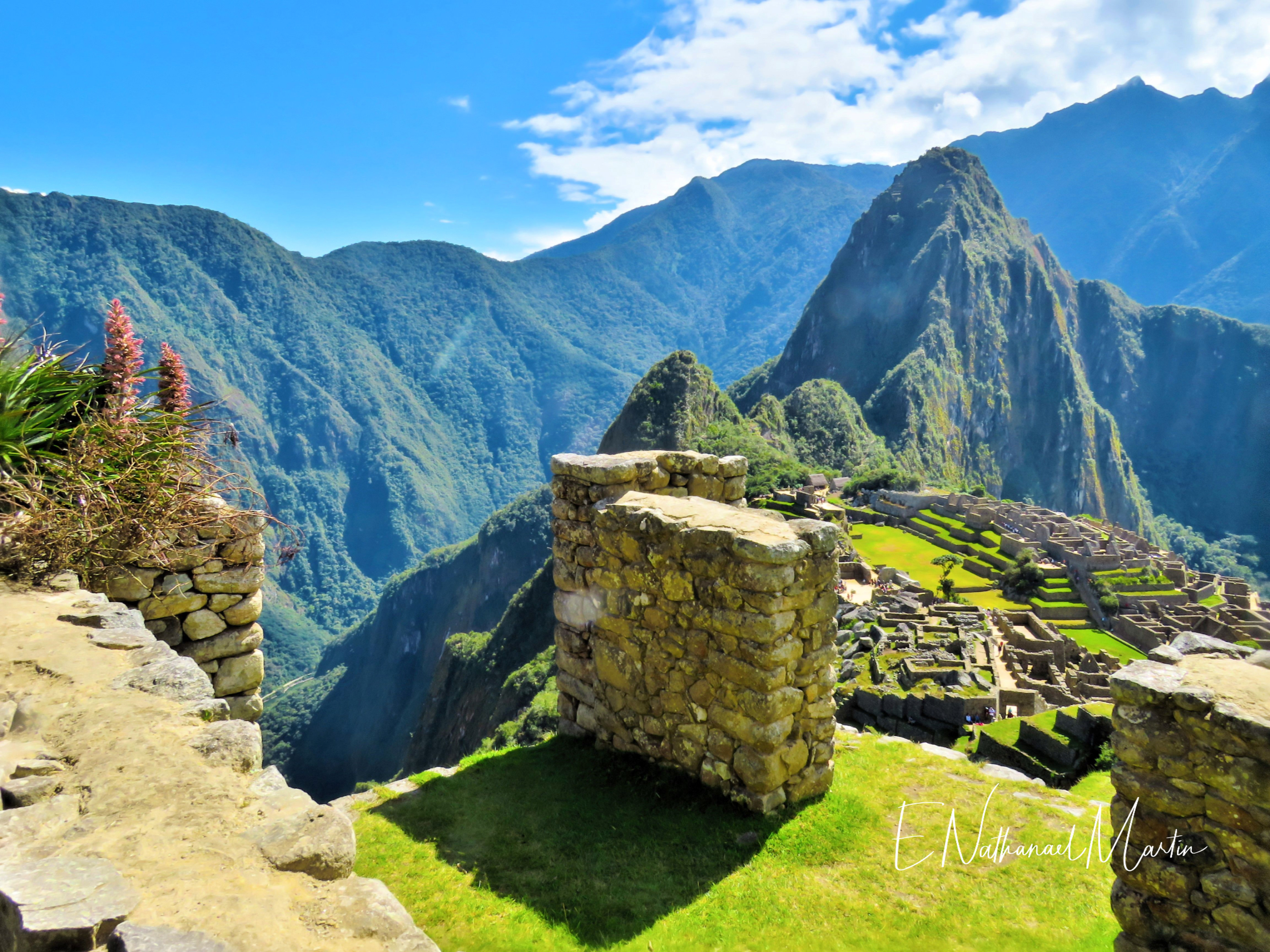 Nature by Nat Photography - Peru