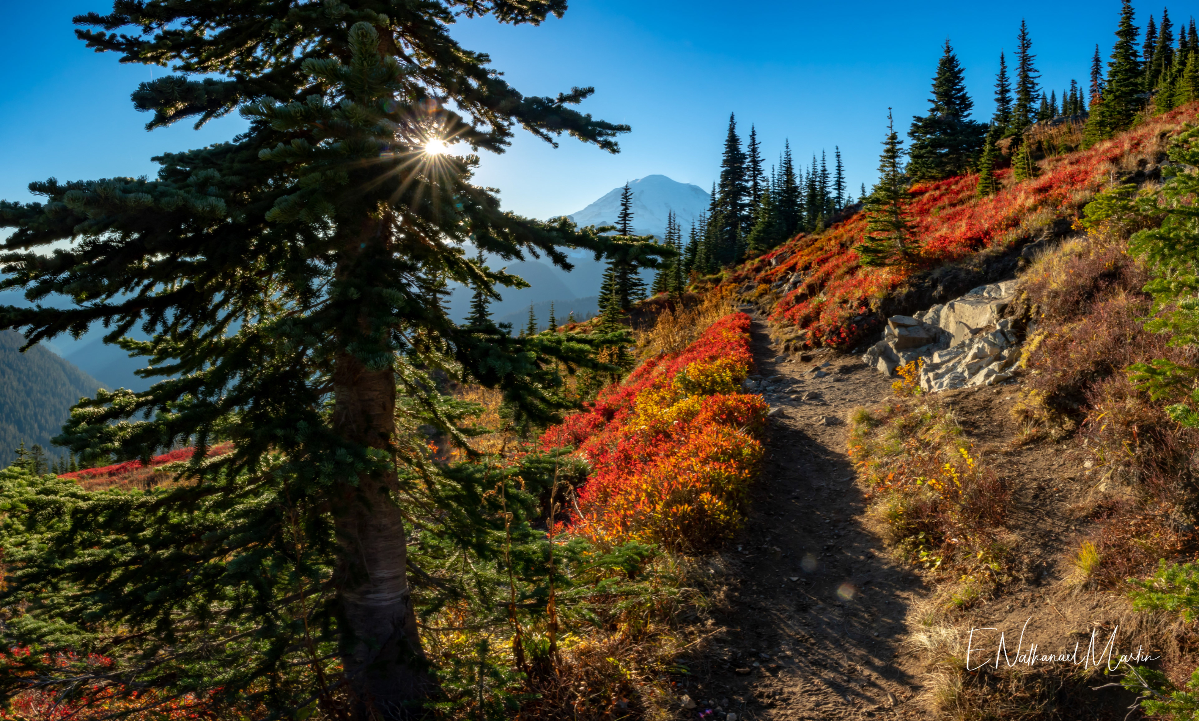 Nature by Nat Photography - Rainier Fall Colors