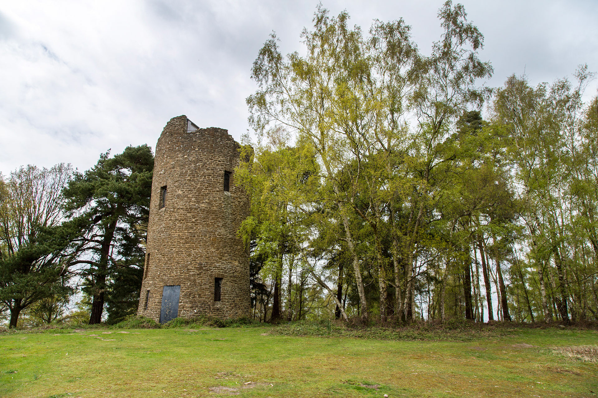 The Surrey Journal - Chinthurst Hill