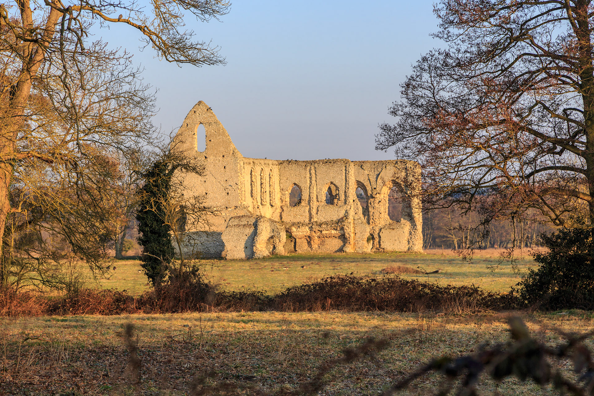 The Surrey Journal - Sunrise over Newark Priory