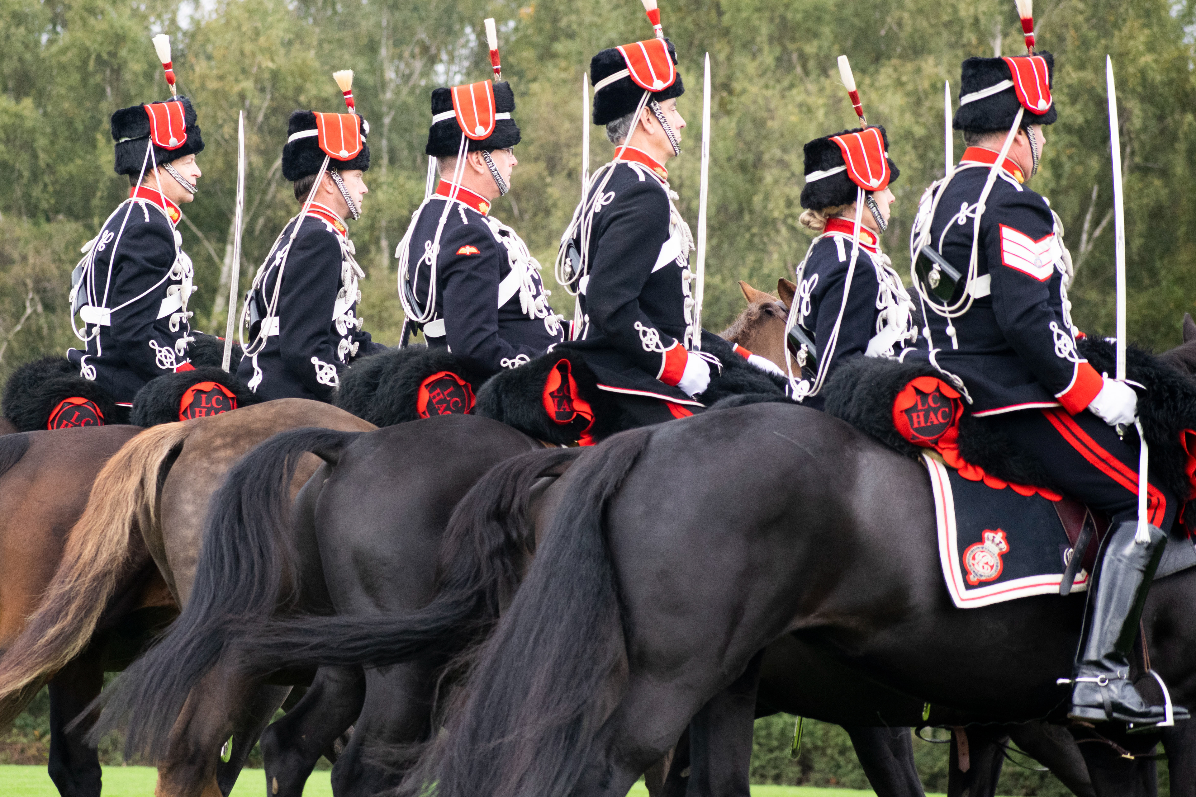 Emily George Fine Art and Film - Light Cavalry HAC Annual Inspection ...