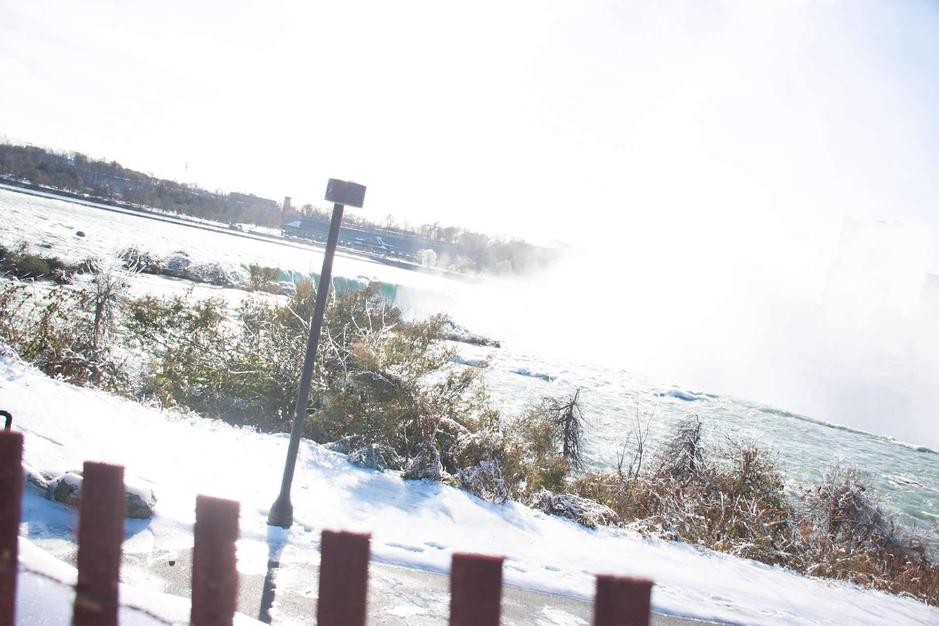 Frank Rodenbaugh - Maggie