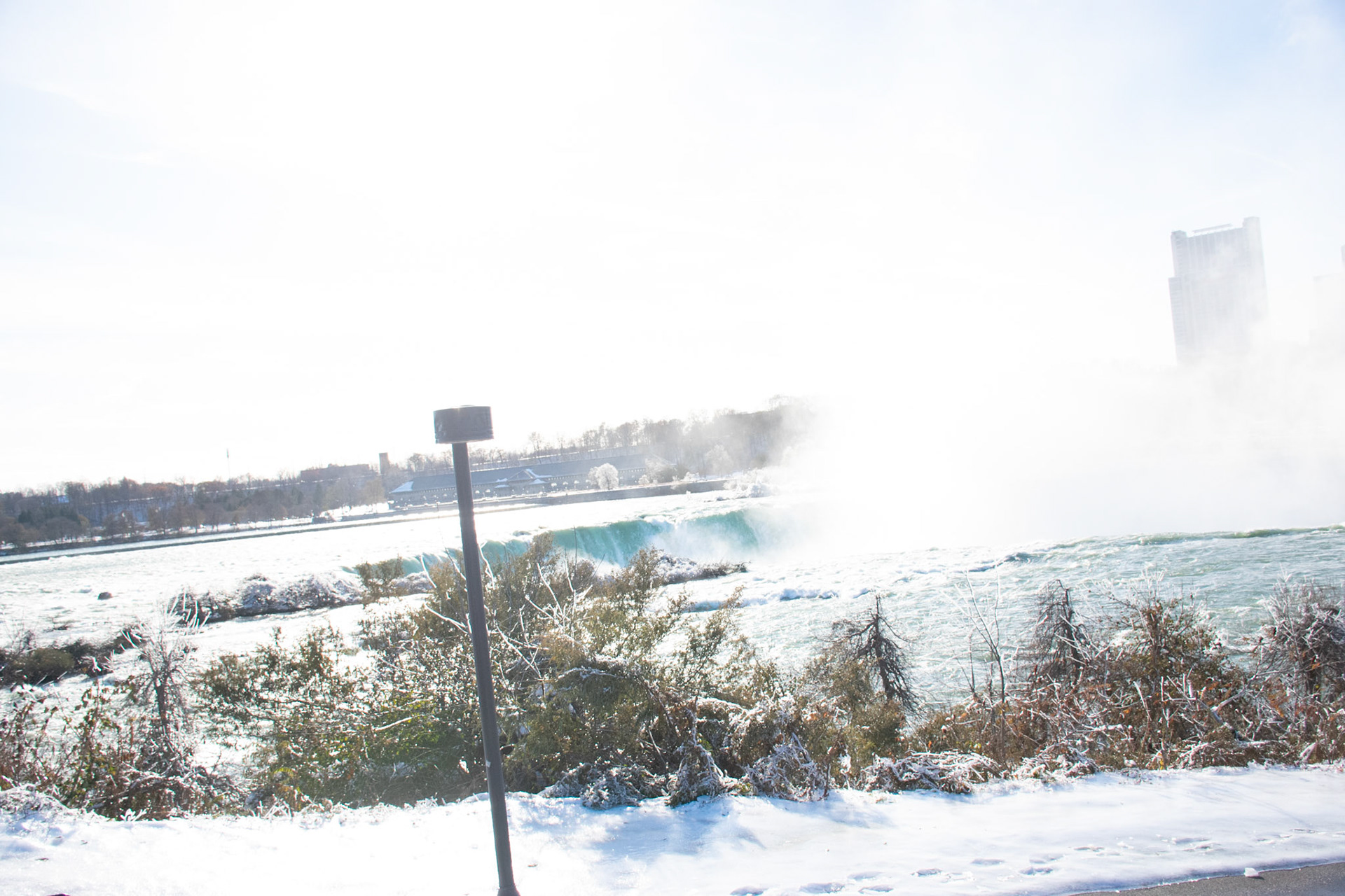 Frank Rodenbaugh - Maggie