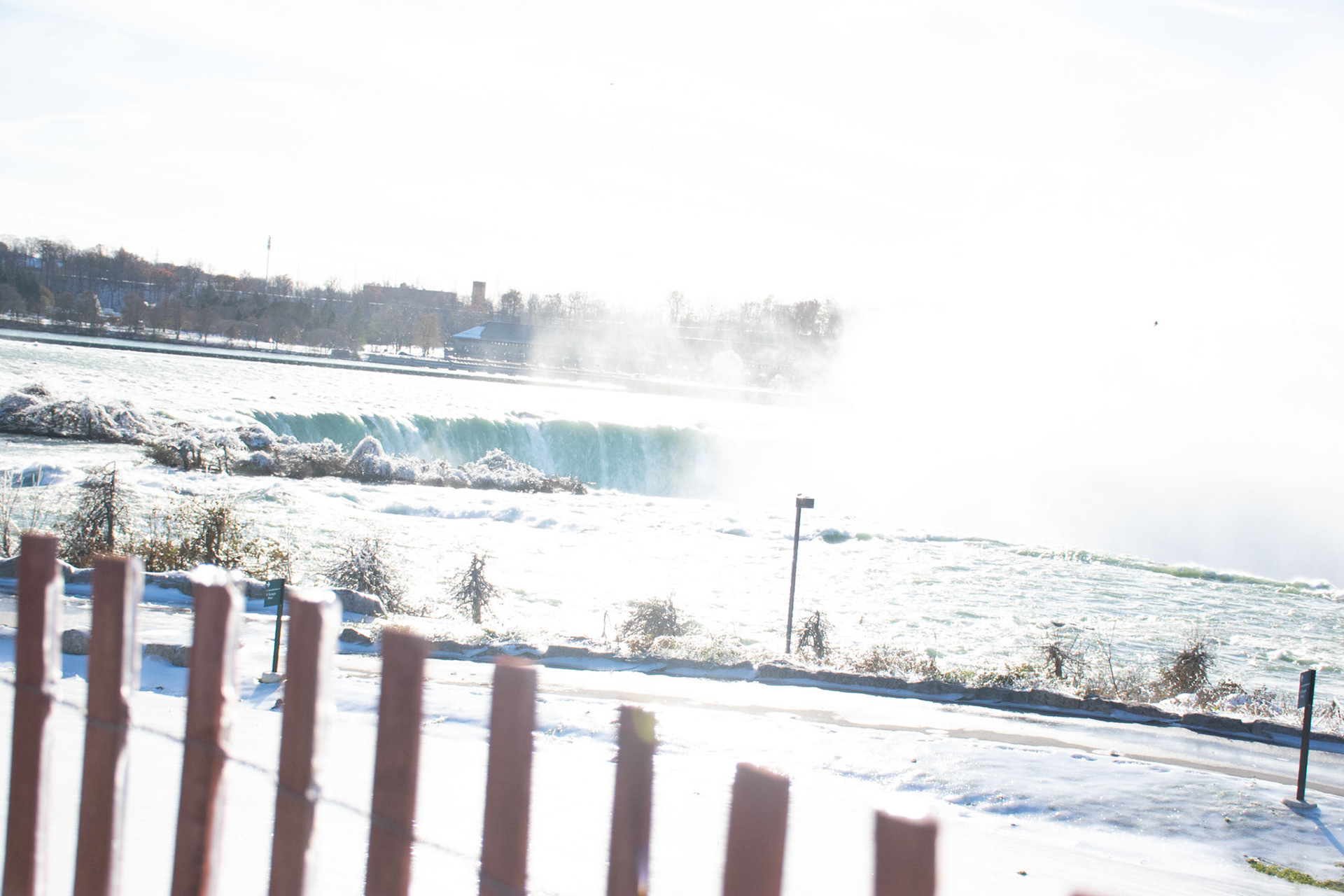 Frank Rodenbaugh - Maggie