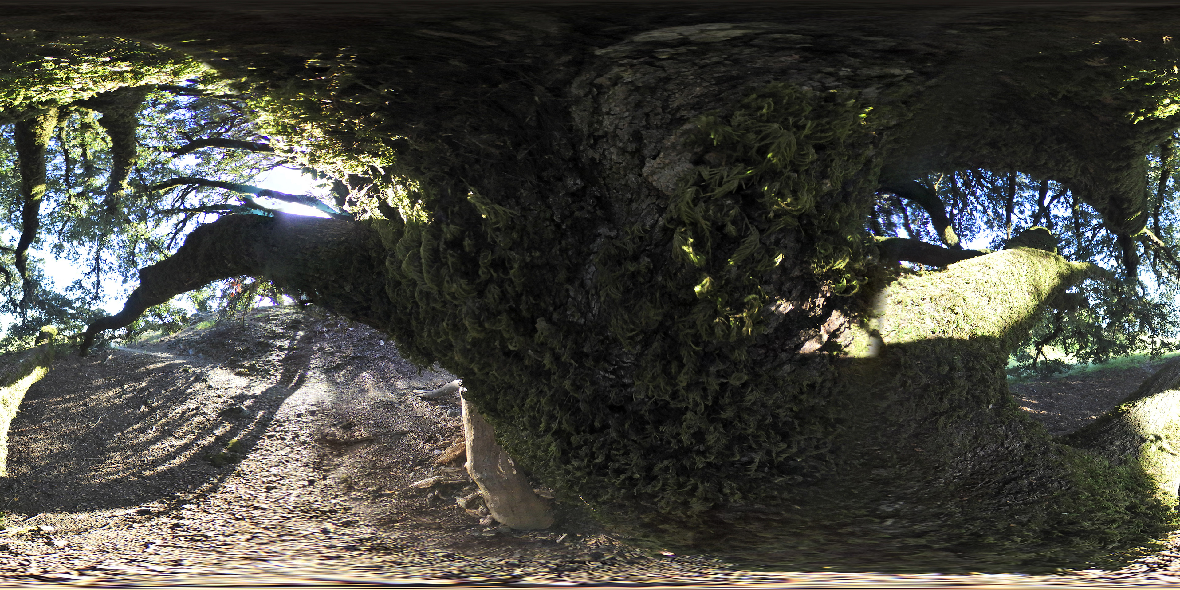 Stephen Studyvin - HDR Environments & Panoramas