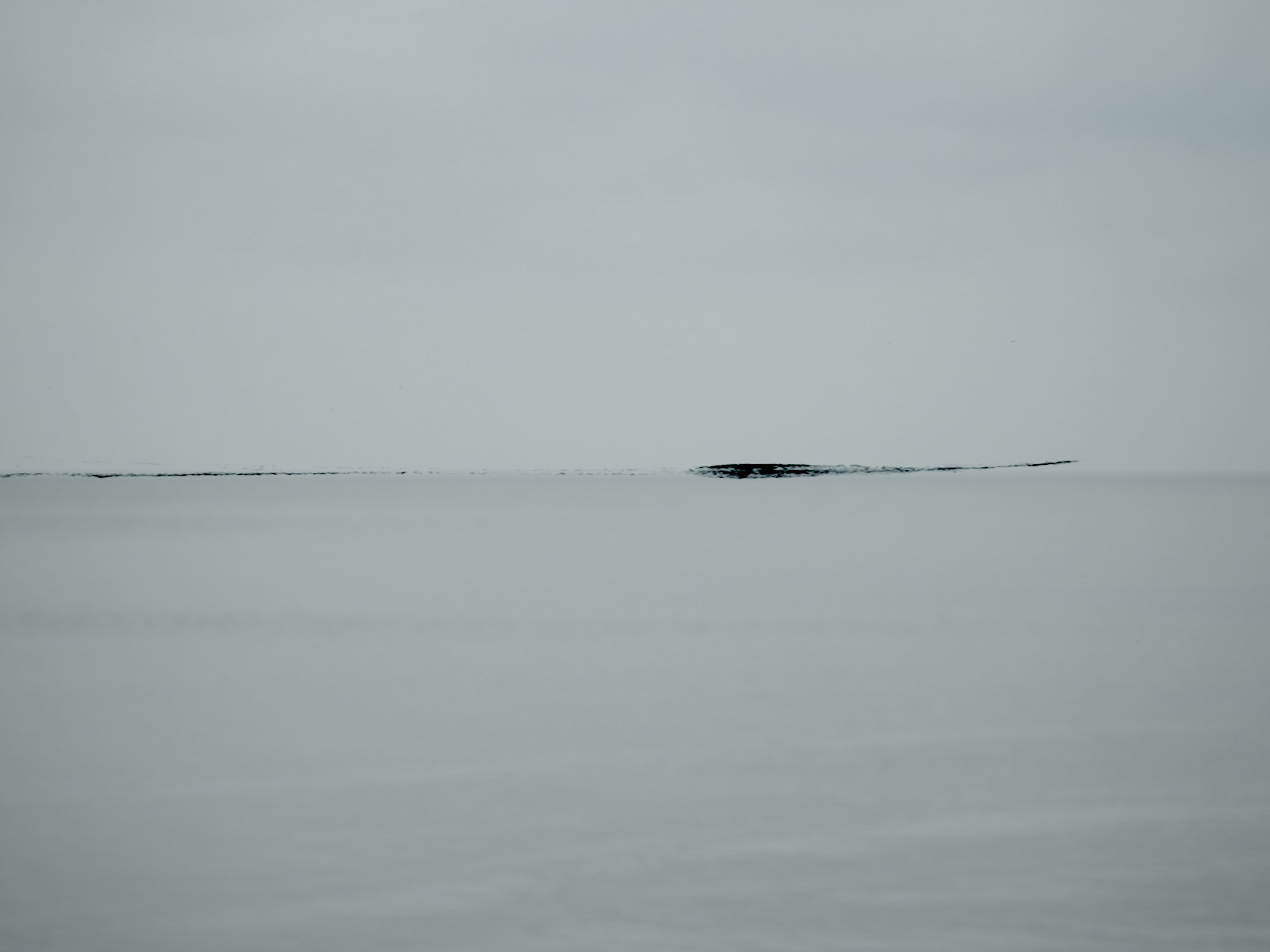 Àlex Reig - Website