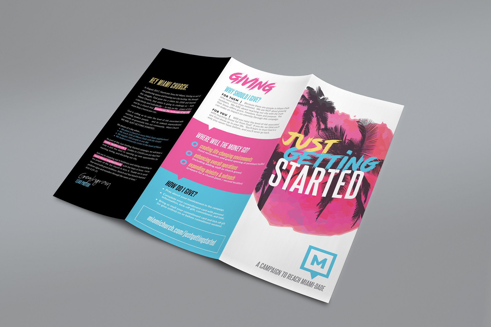 Danielle Selgo - Capital Campaign Brochure