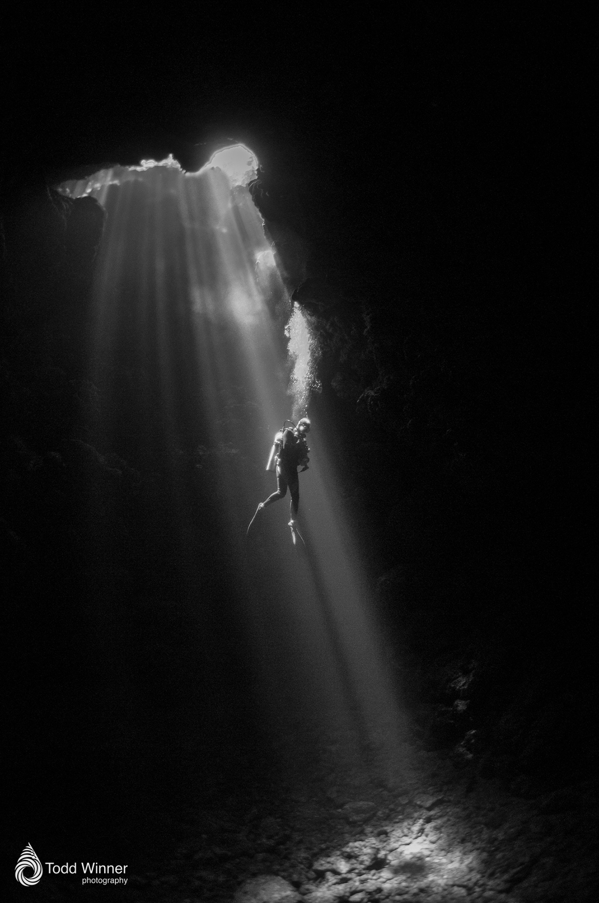 Todd Winner Photography