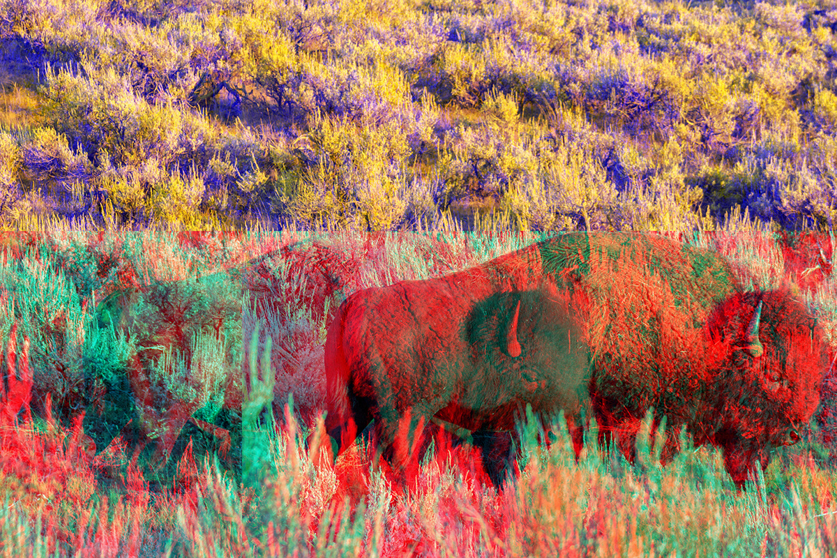 Brandon Cranford - Artist - Corrupted Landscape