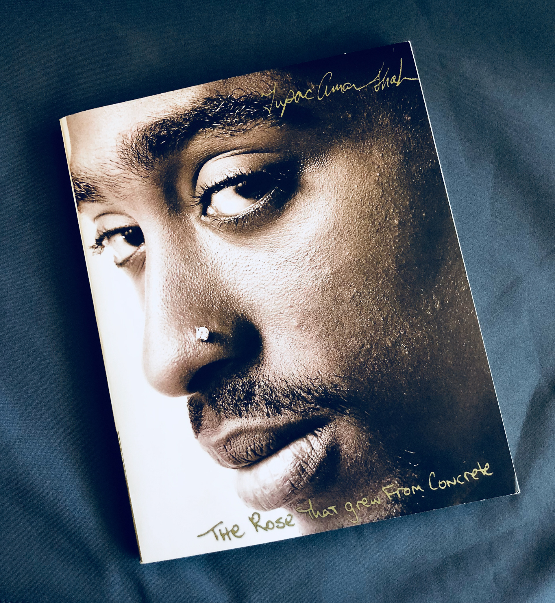 2pac The Rose That Grew From Concrete