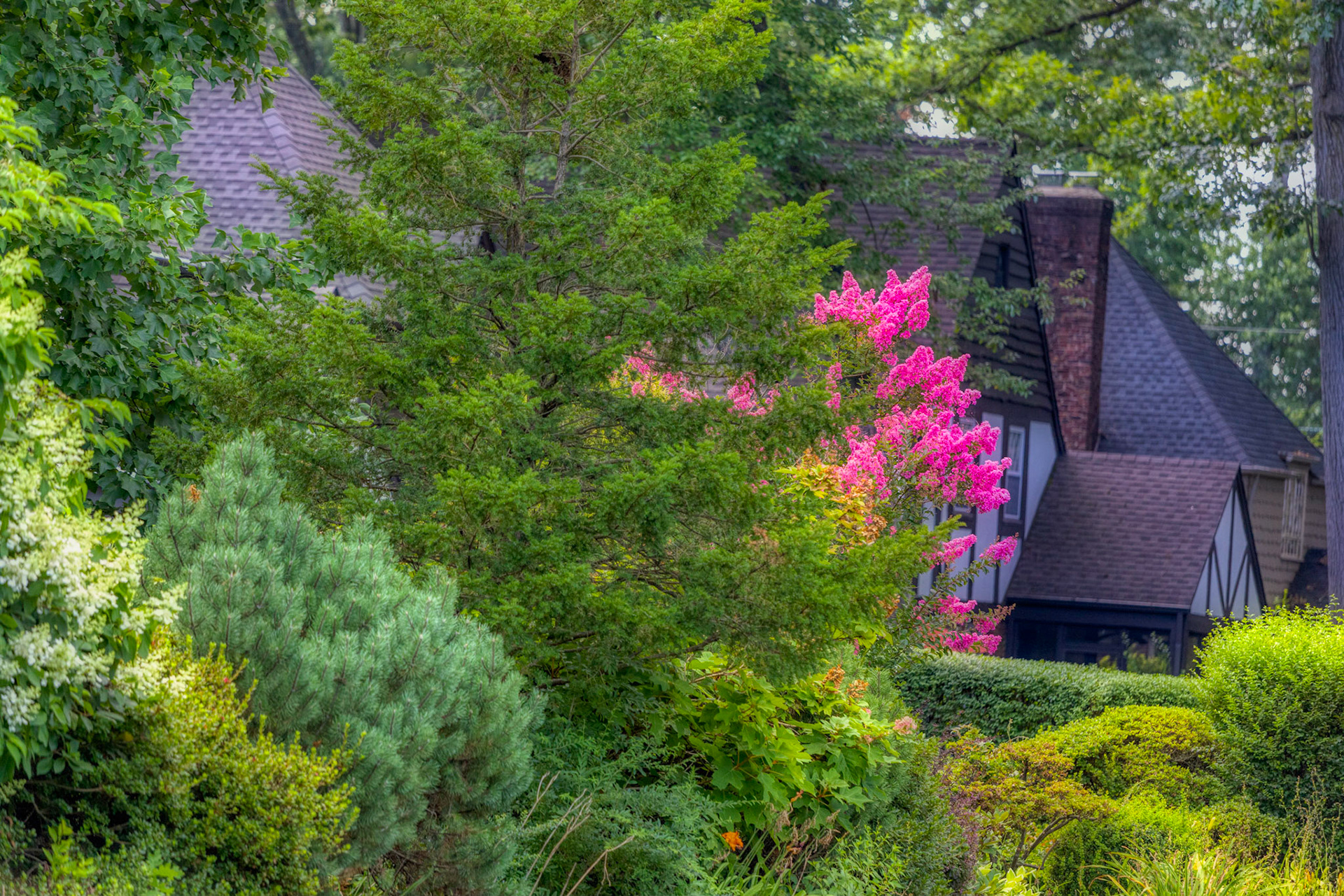 Vladimir Brook - Radburn park