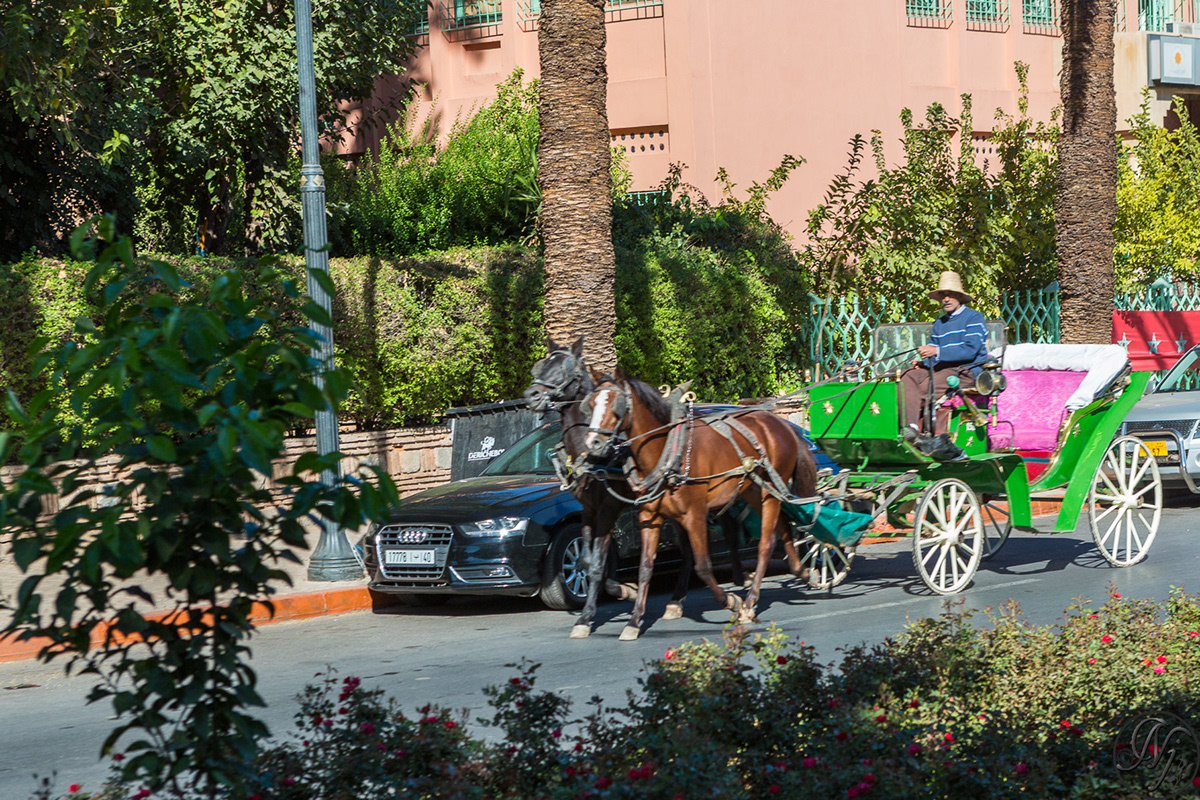 Nick John - Hello Marocko!