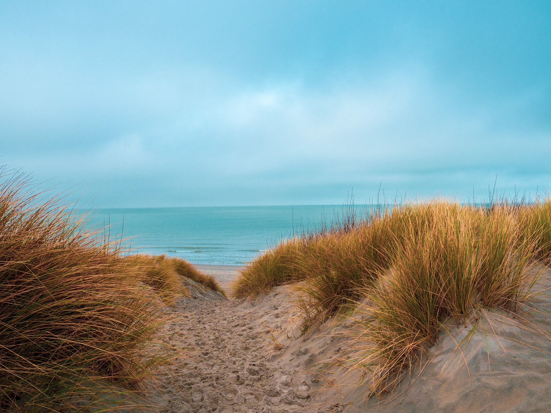 Marcus Spiel - zeeland