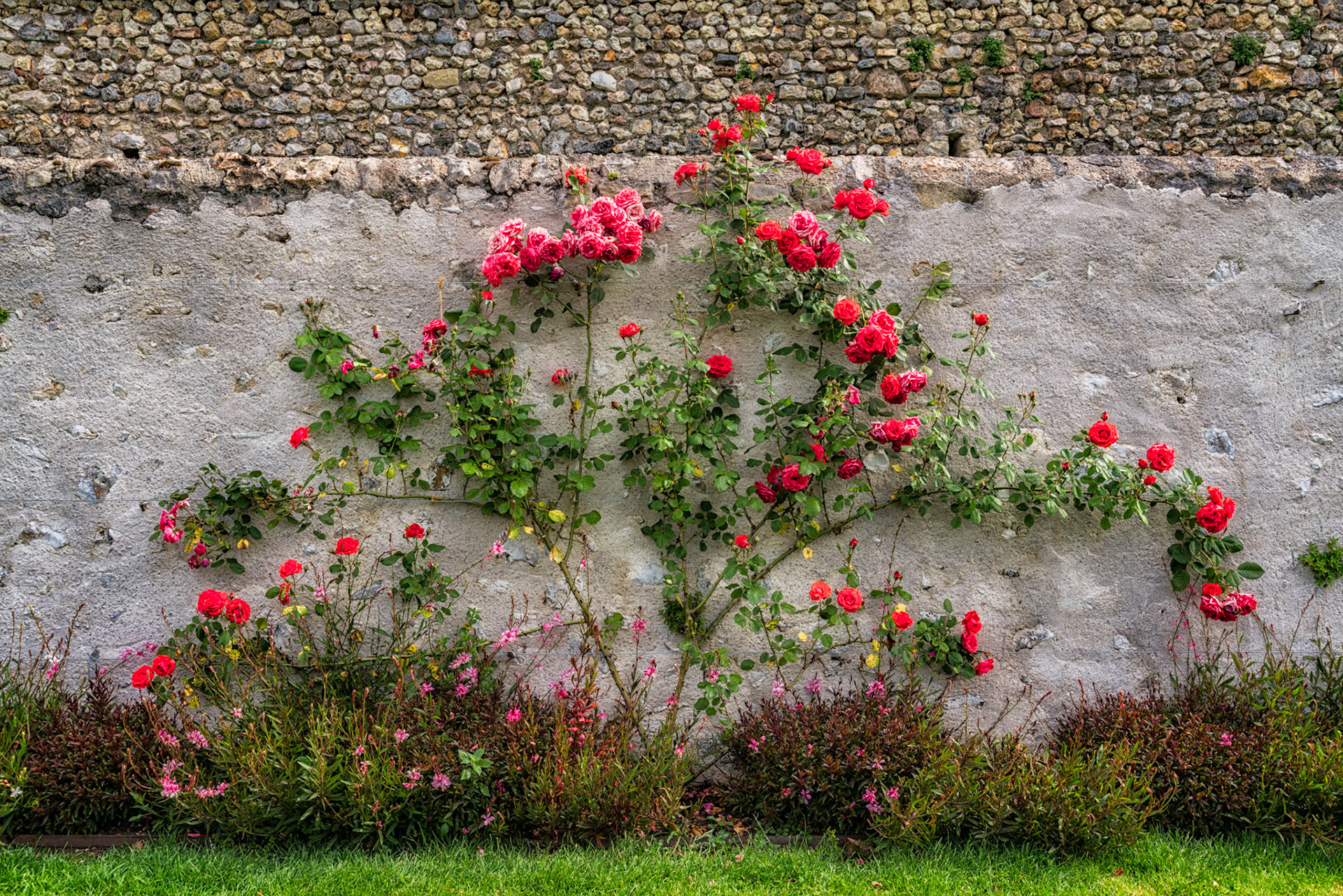 Steve Casey - France