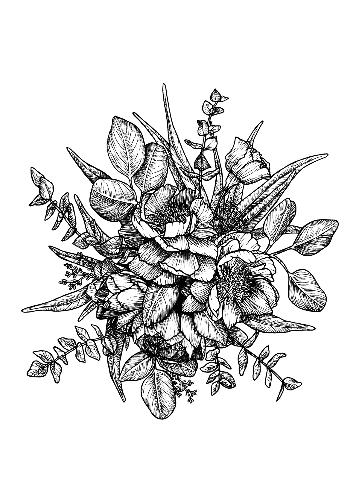 Alesha Krehbiel - Botanical Pen Drawings