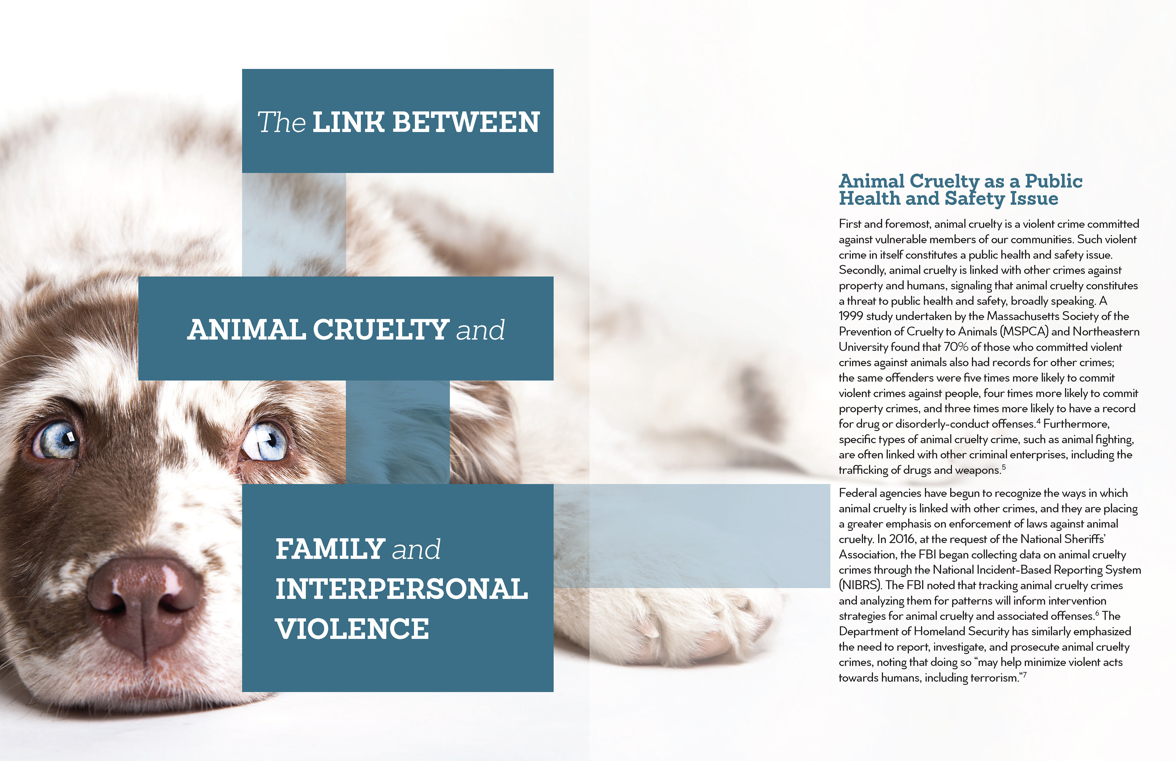 Interpersonal Cruelty