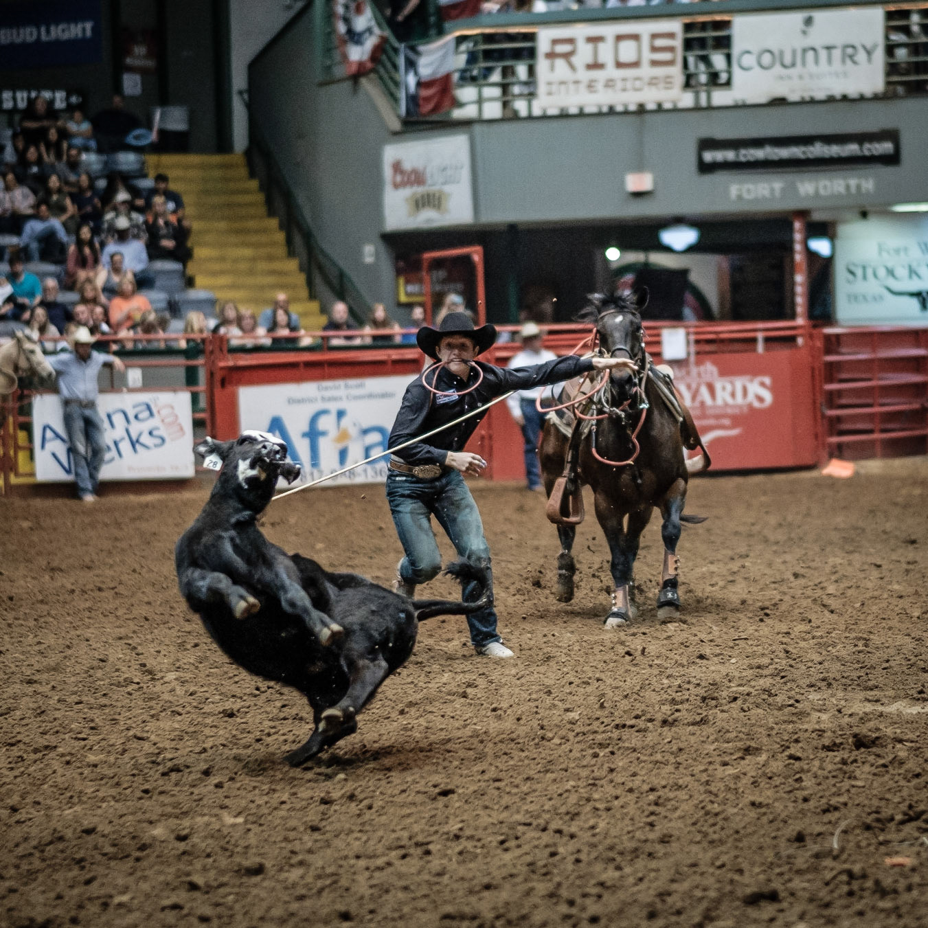 photo I video I speak I edit - by Rico Feldfoss - Stockyards ...