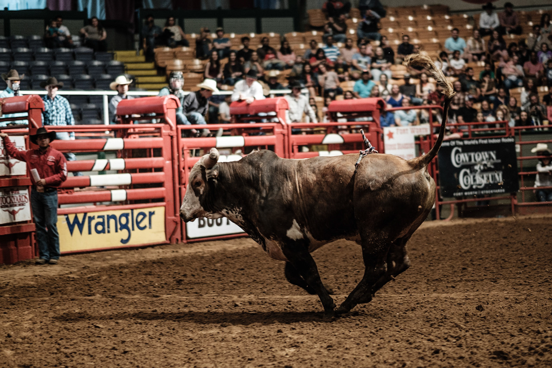 photo I video I speak I edit - by Rico Feldfoss - Stockyards ...