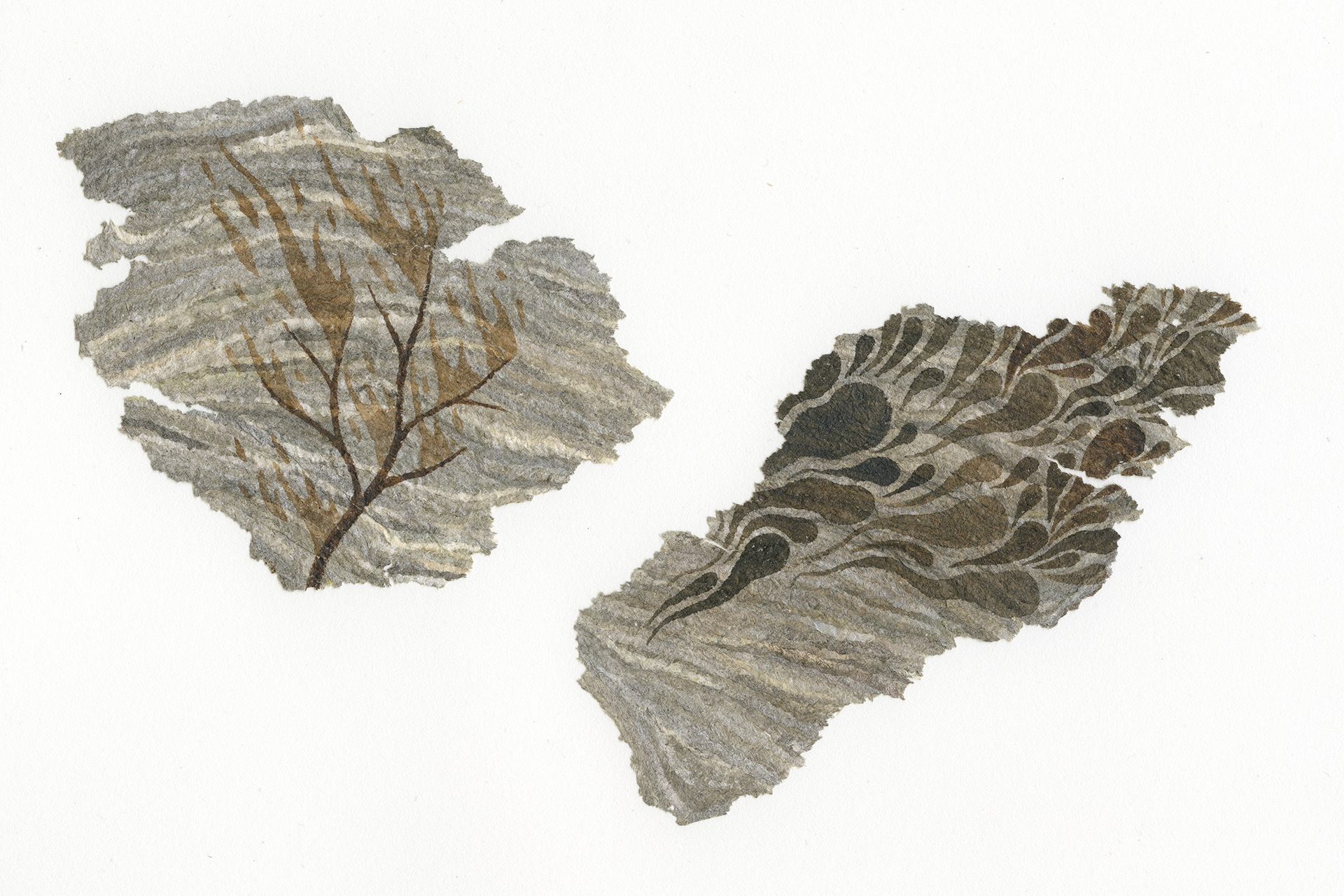 eva henderson - nest paintings