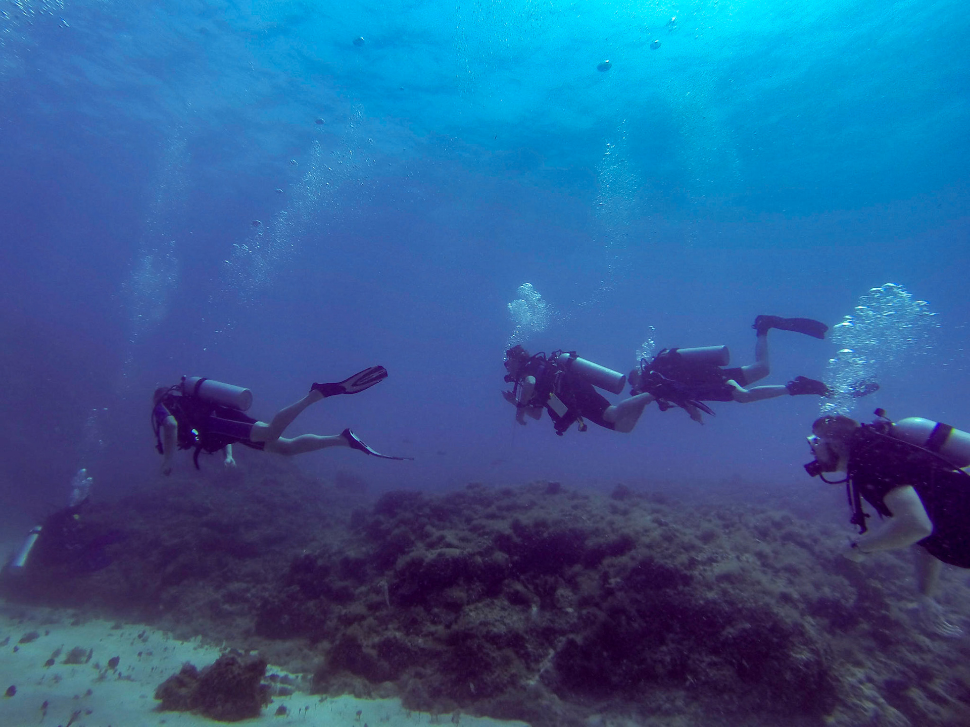 Torbjørn Hilstad Melby - 2016 Diving in Jamaica