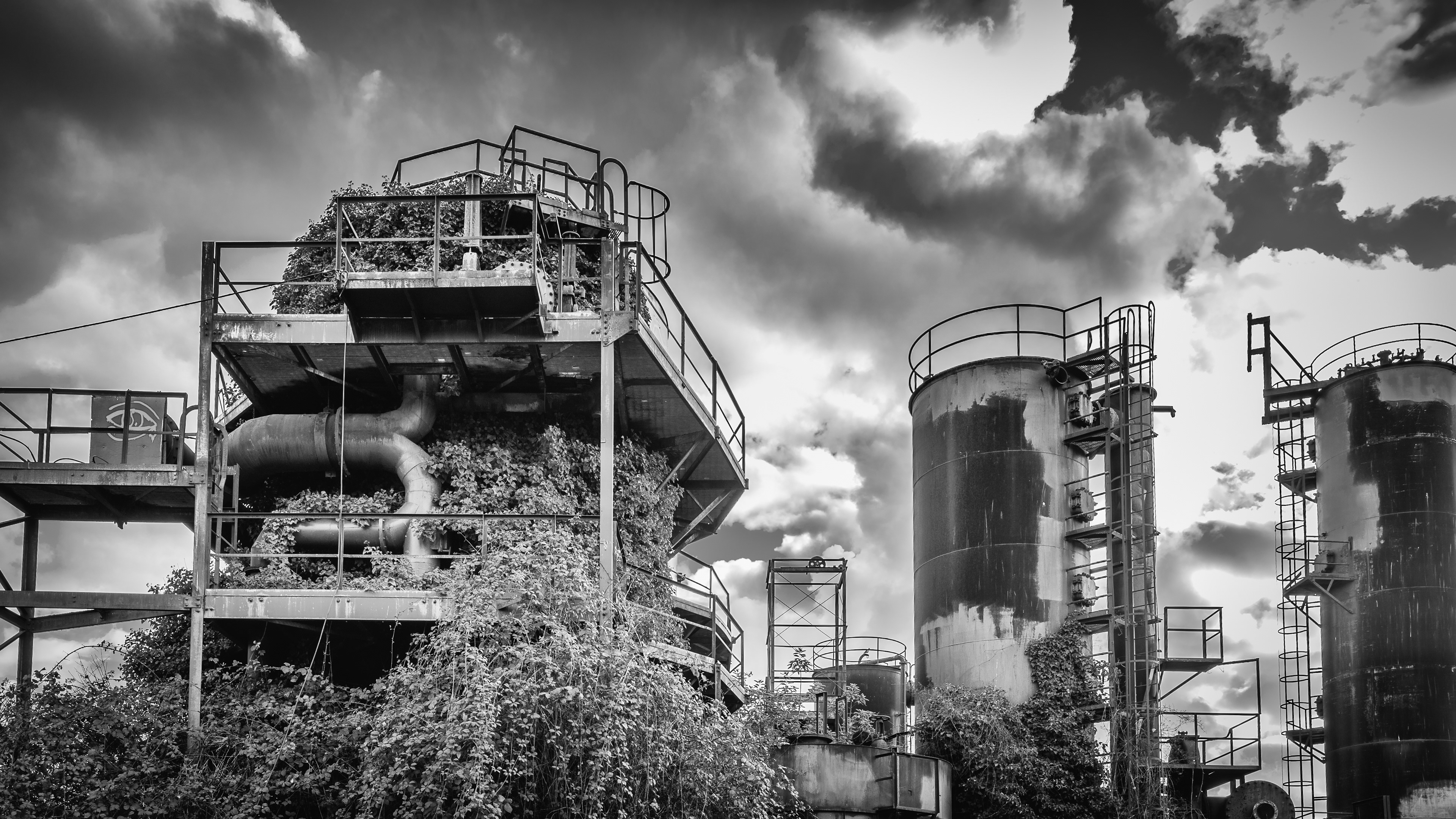 Ray Humphreys - Gasworks Park / Seattle
