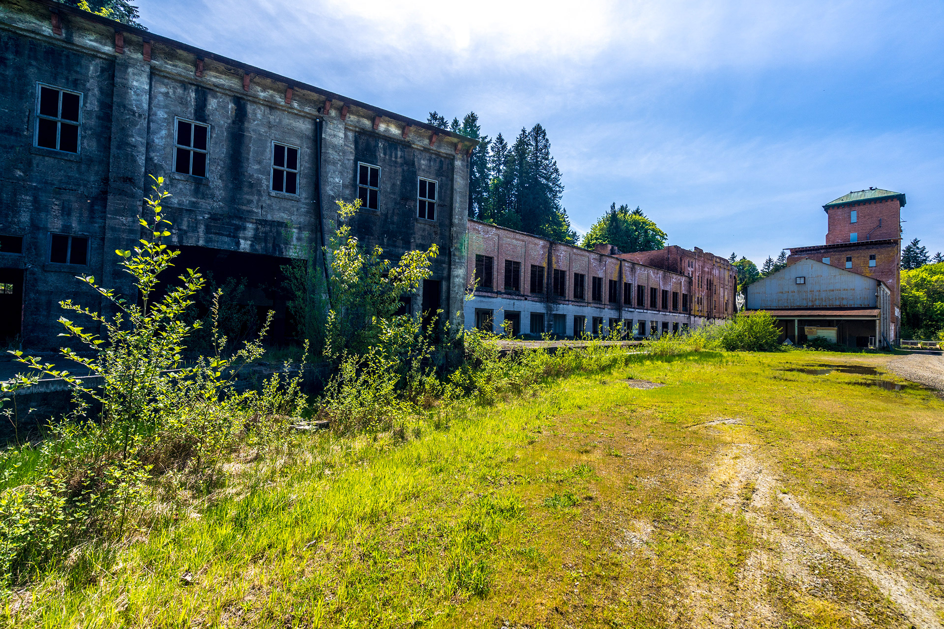 Ray Humphreys - Olympia