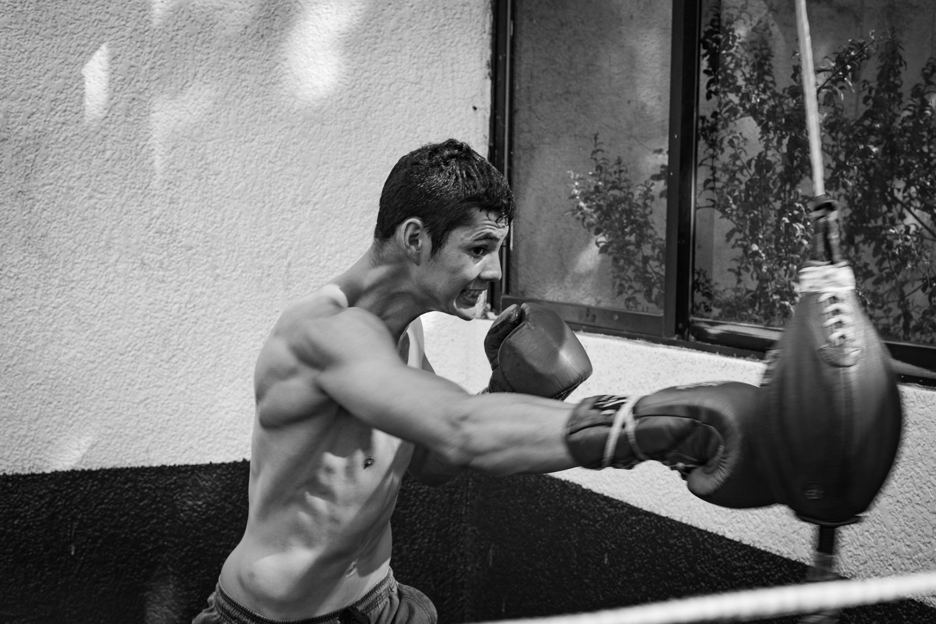 Ramón Credi Photography - Gimnasio Romanza