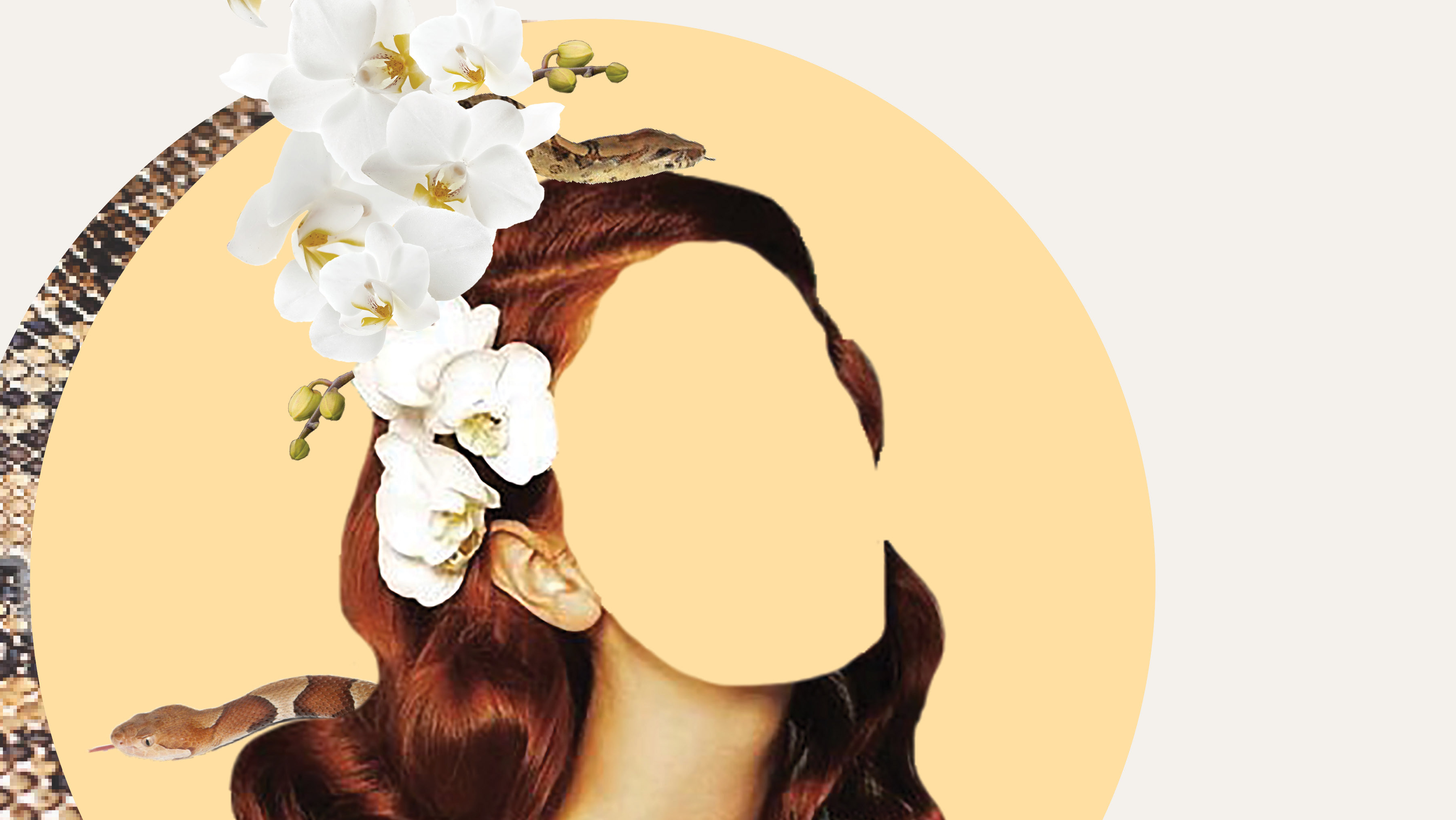 Sarah Apollo - Glow Recipe Website