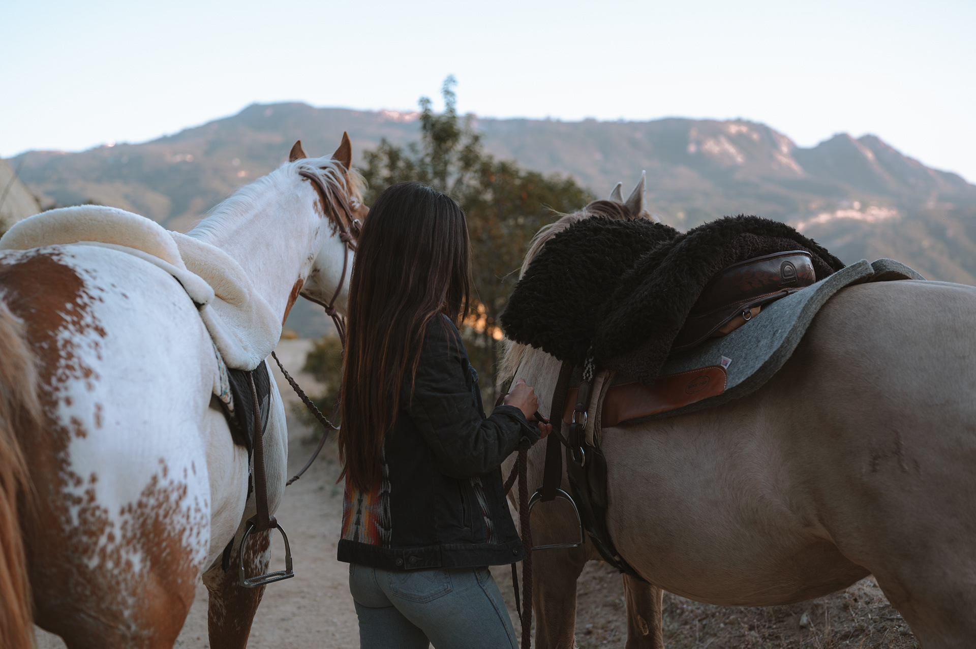 Steady Rein Productions, LLC - photo