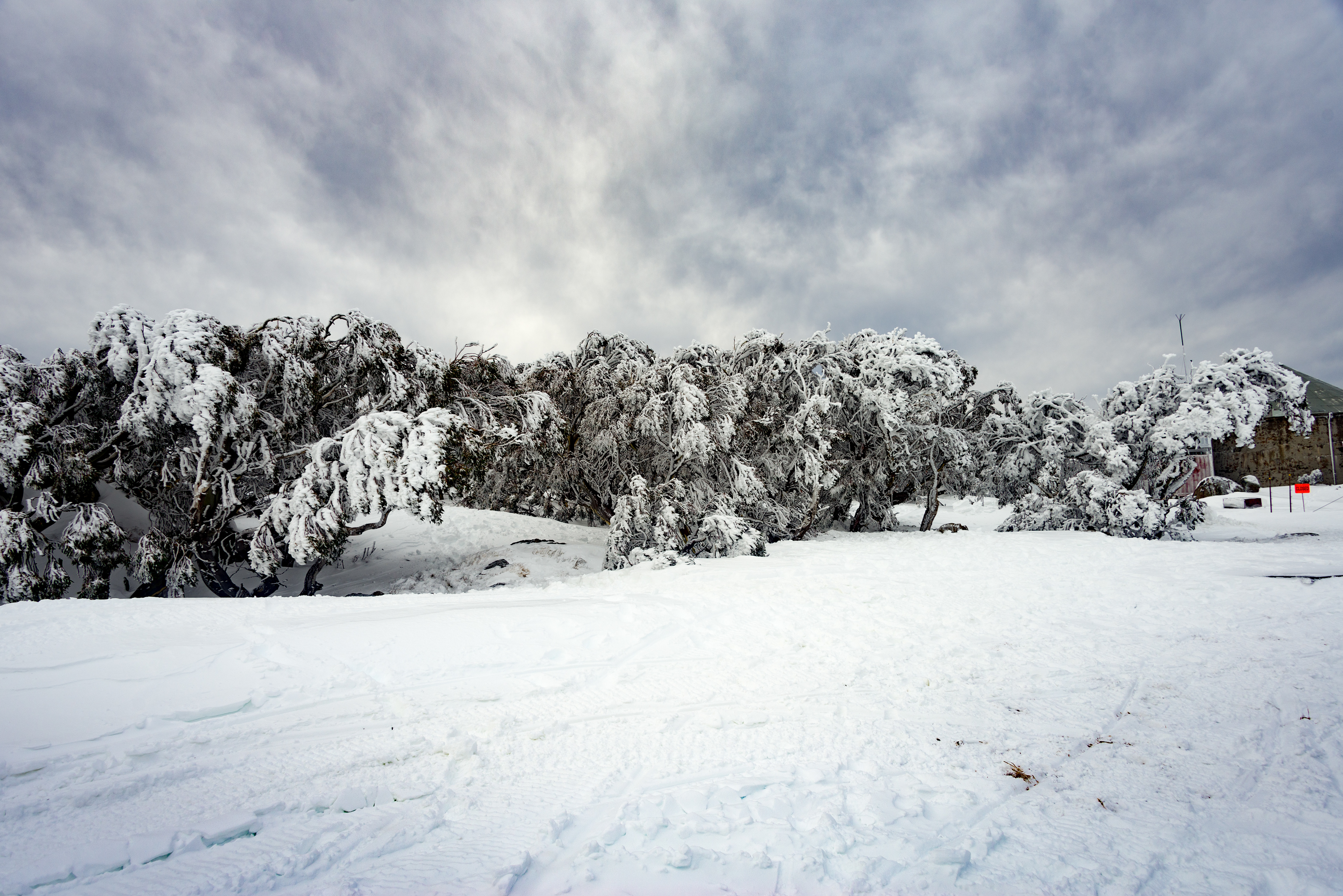 Infinitepx Photography - The Snowies