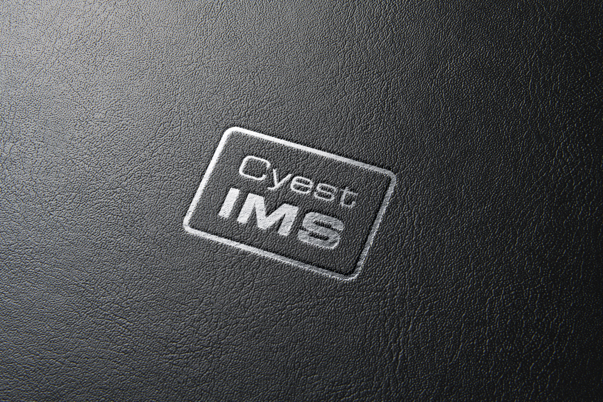 Sarah Shorten - Cyest IMS - Brand Identity