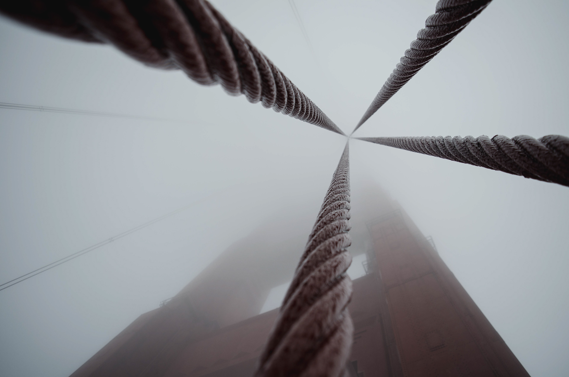 Benson Tran - spaces