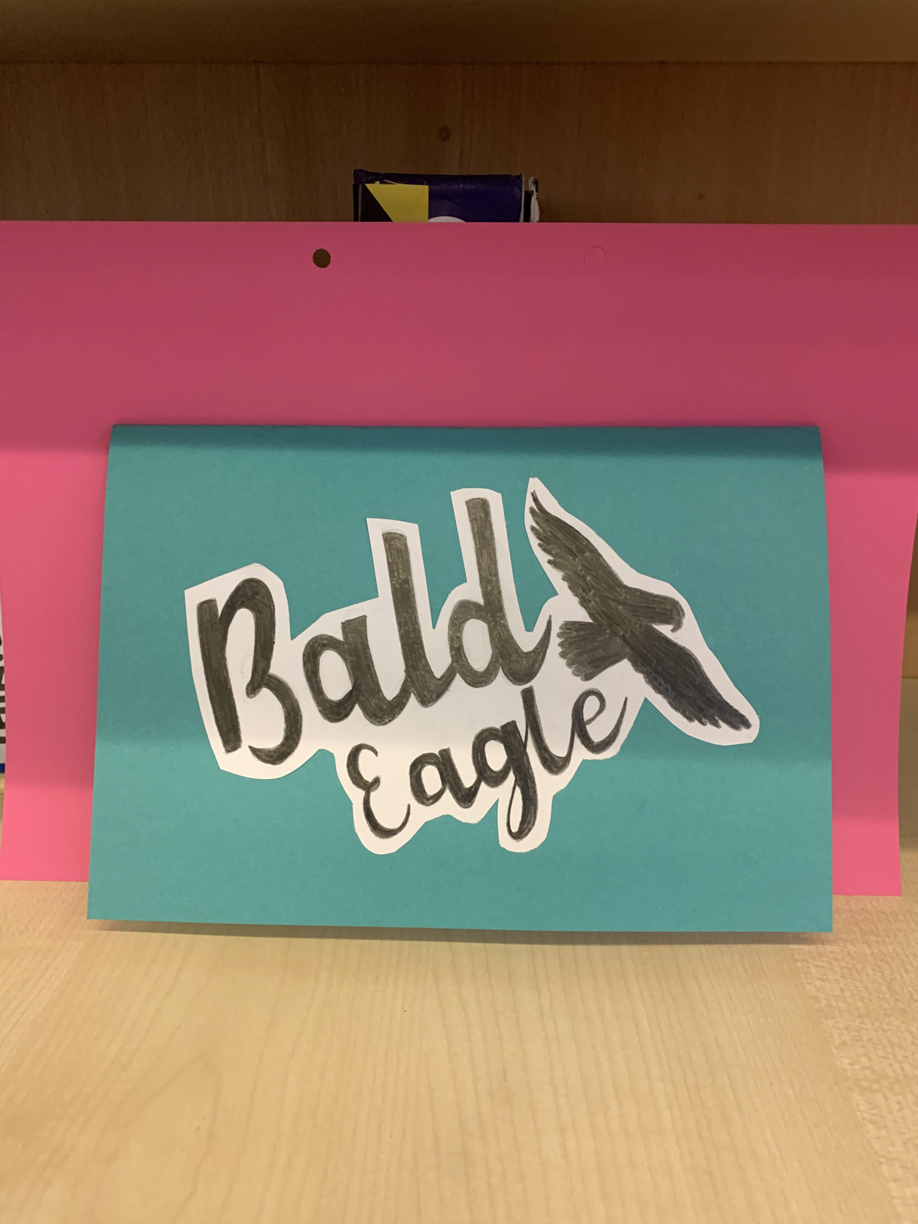 Violet Owen - Hand Drawn Resources