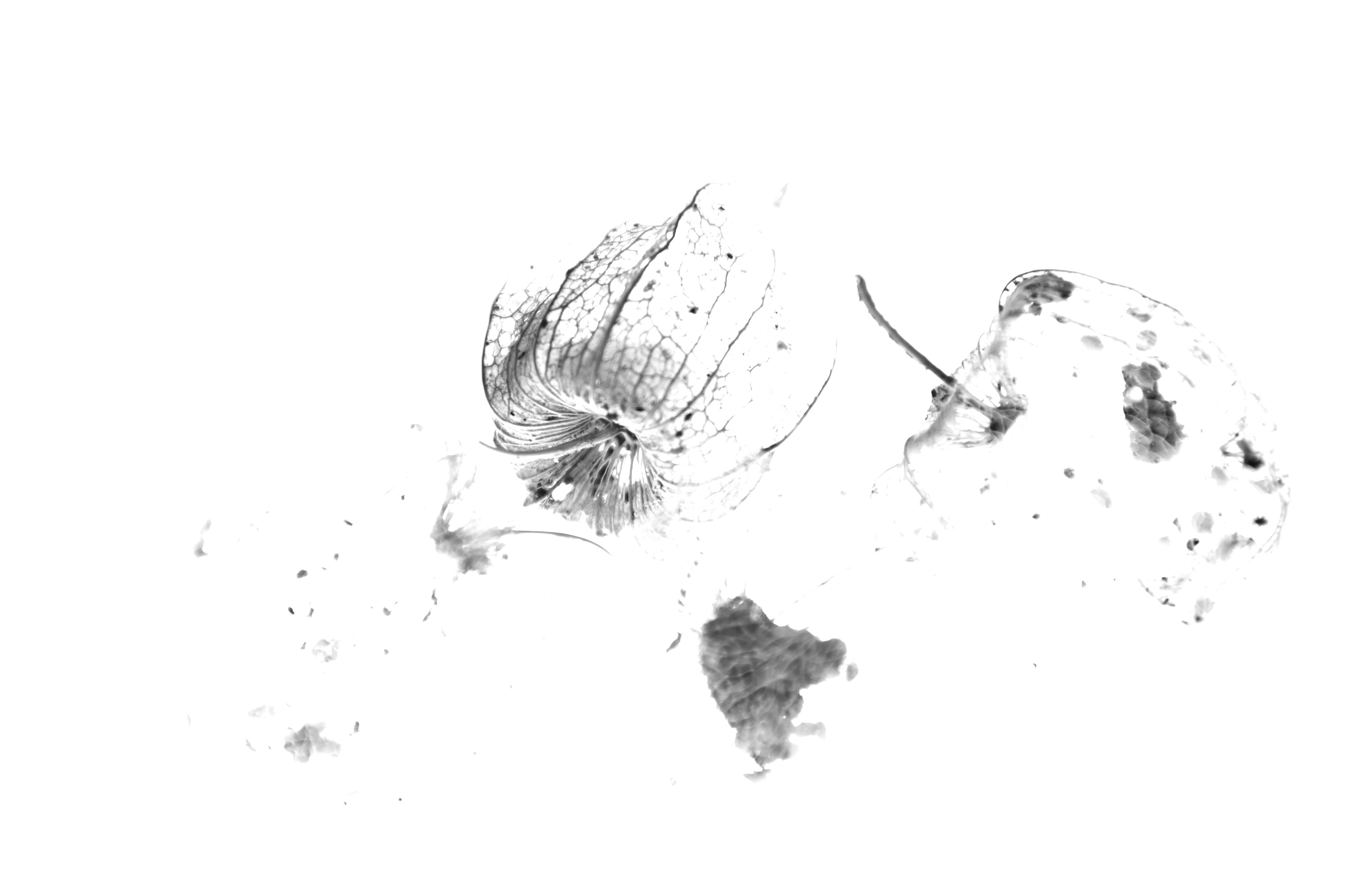 Paul Stander - International Exhibitions