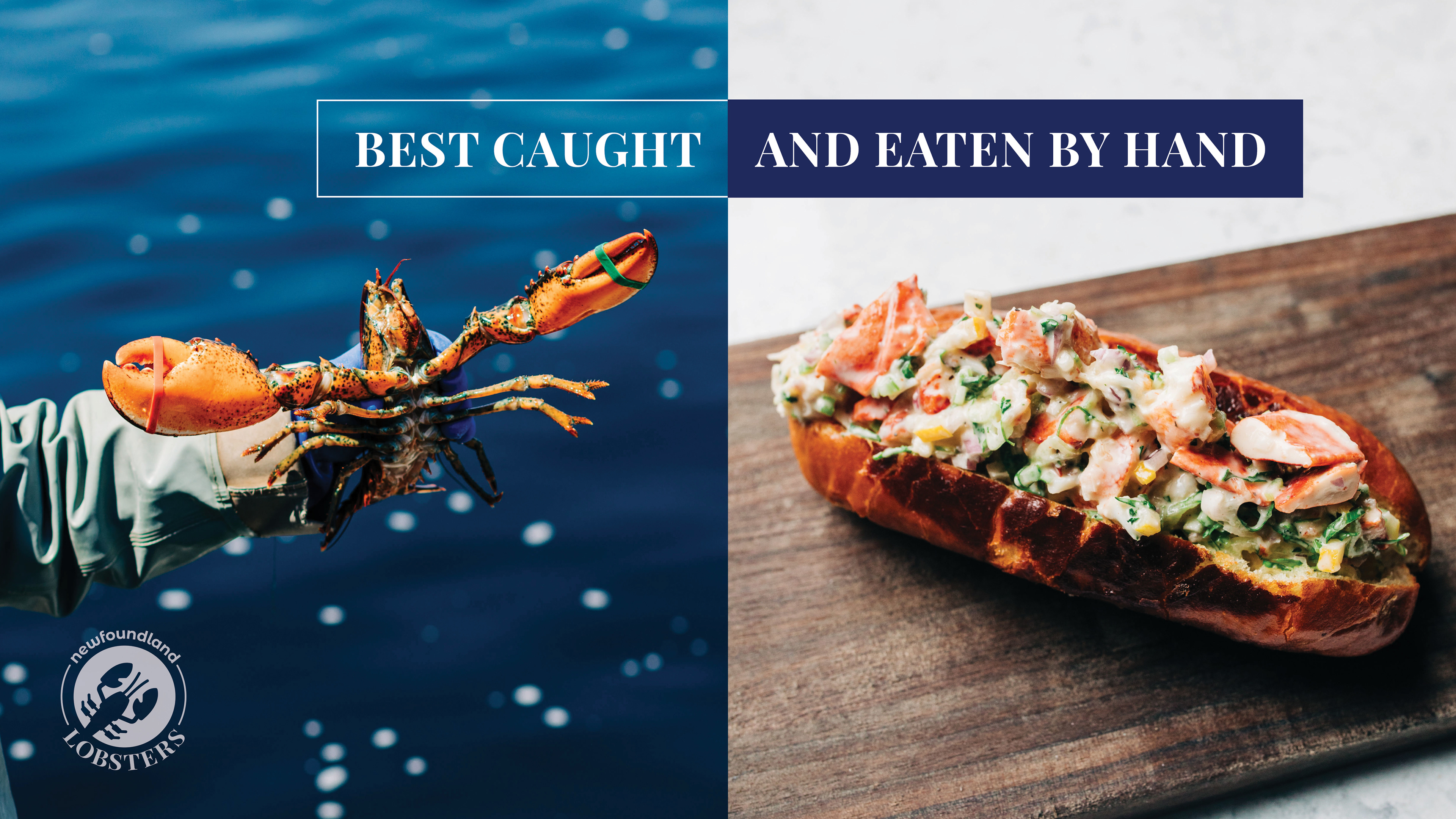 Sophie Harrington - Newfoundland Lobsters