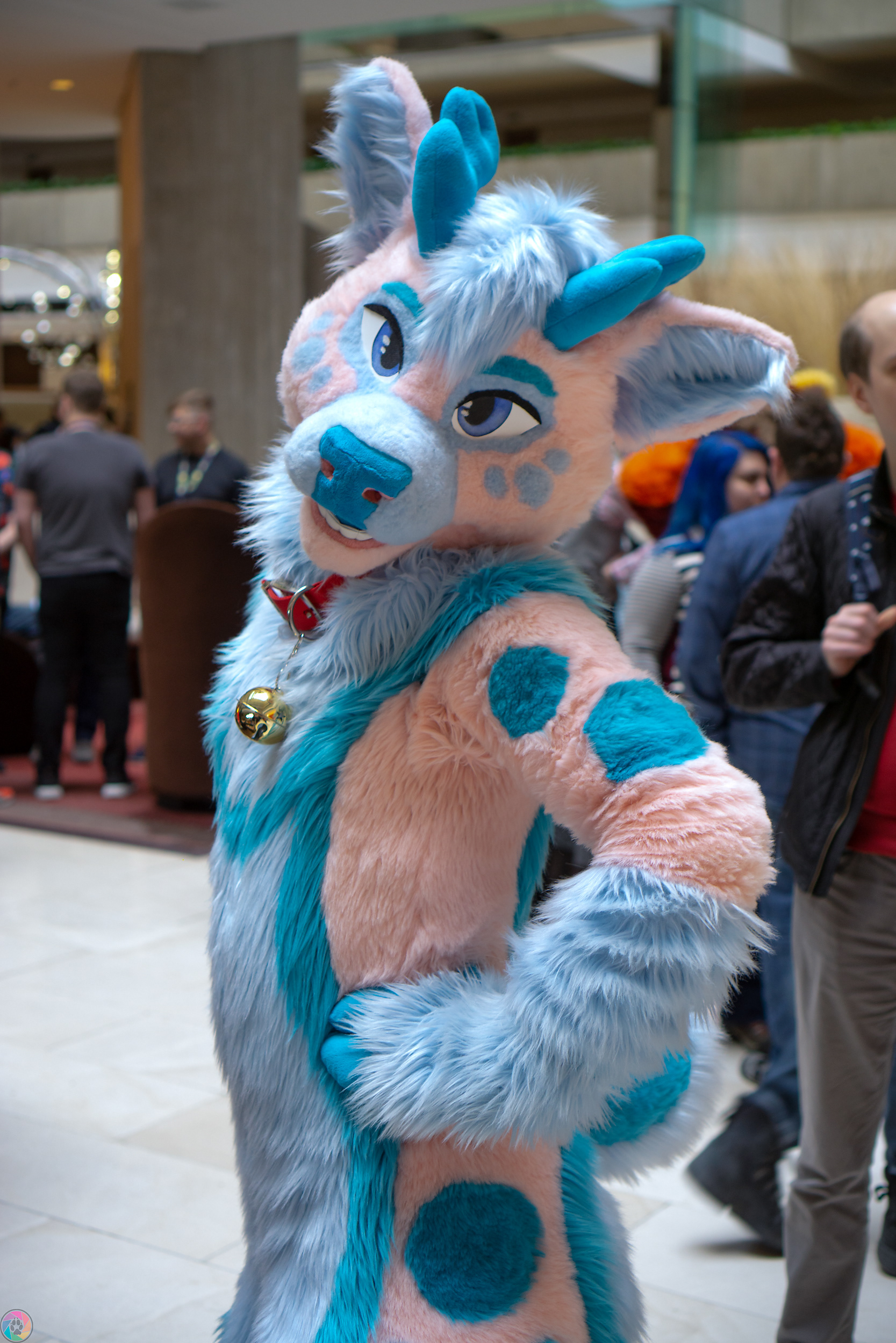 TJ Wagner - Midwest FurFest 2018