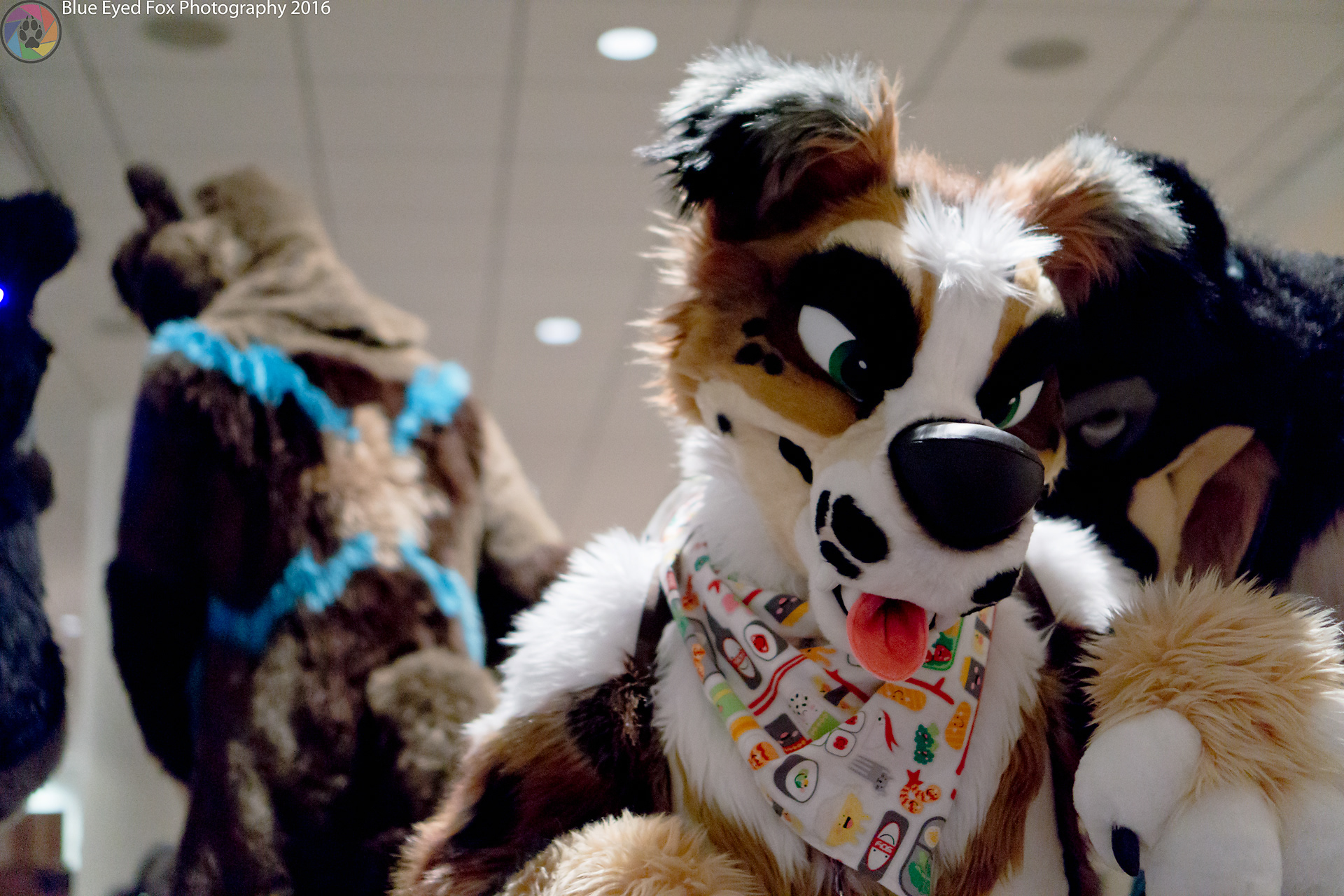 TJ Wagner - Furry Weekend Atlanta 2016