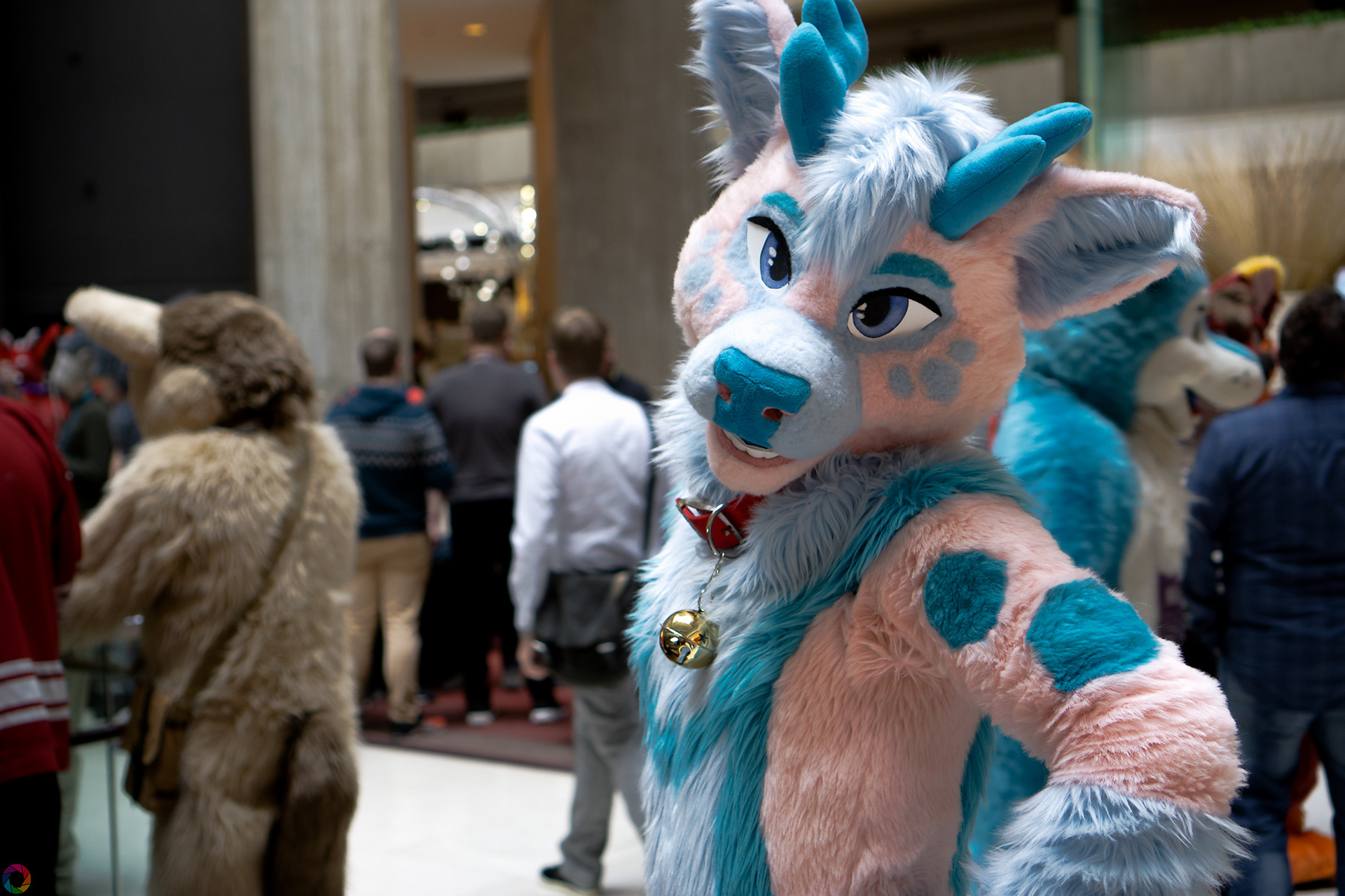 TJ Wagner - Midwest FurFest 2018