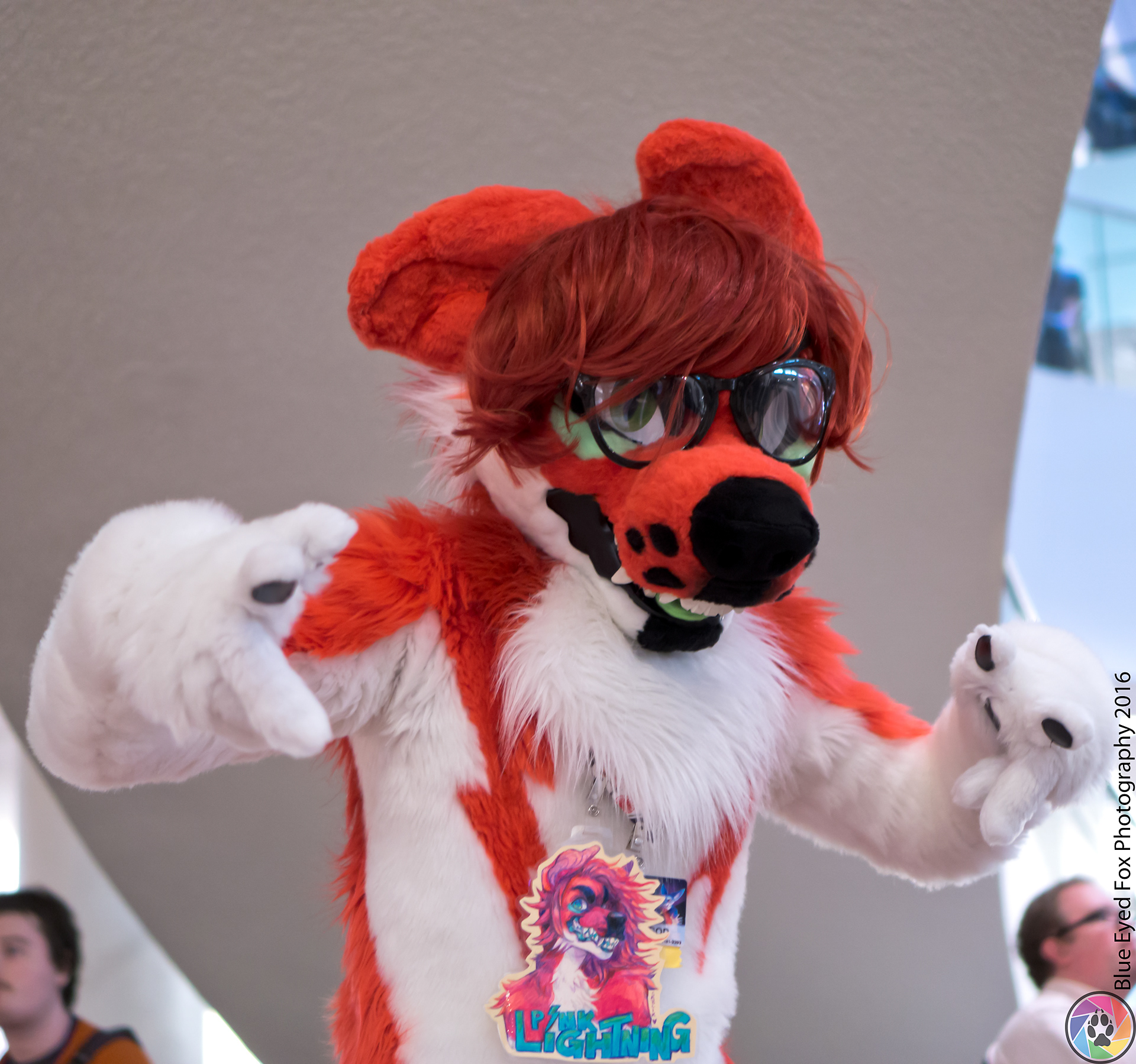 TJ Wagner - Furry Weekend Atlanta 2016