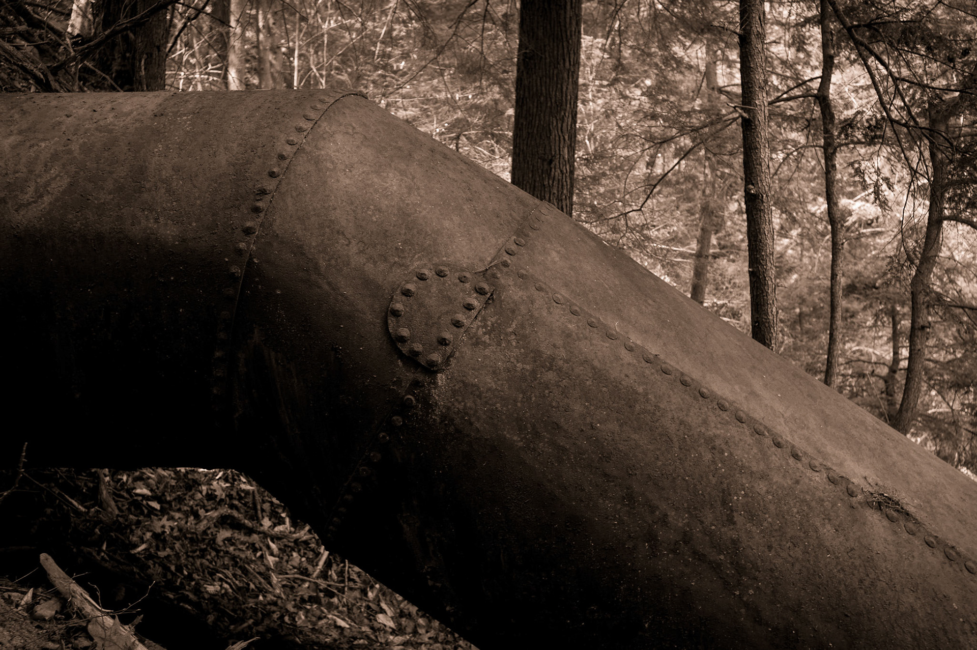 Ben Barnhart Photographs - Things