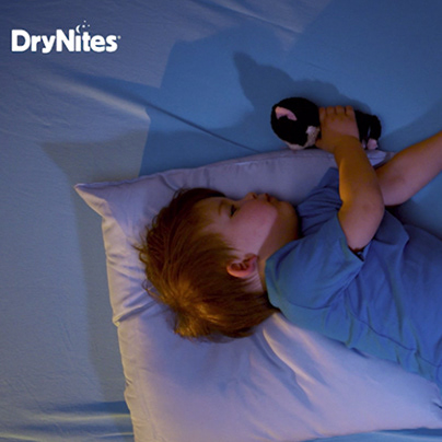 Pedri Animation BV - The Onestop Motionshop